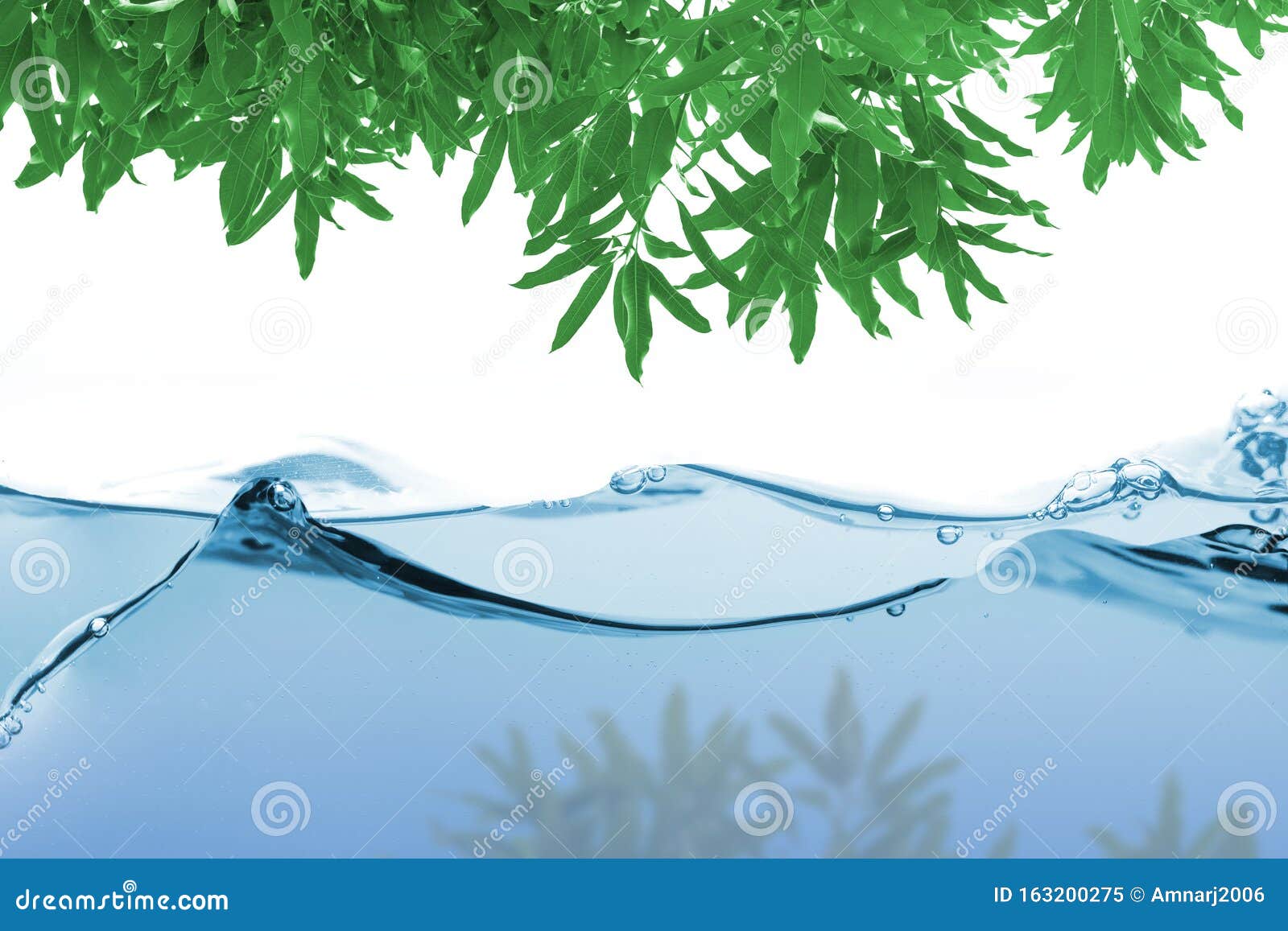 Water Ripples With Trees