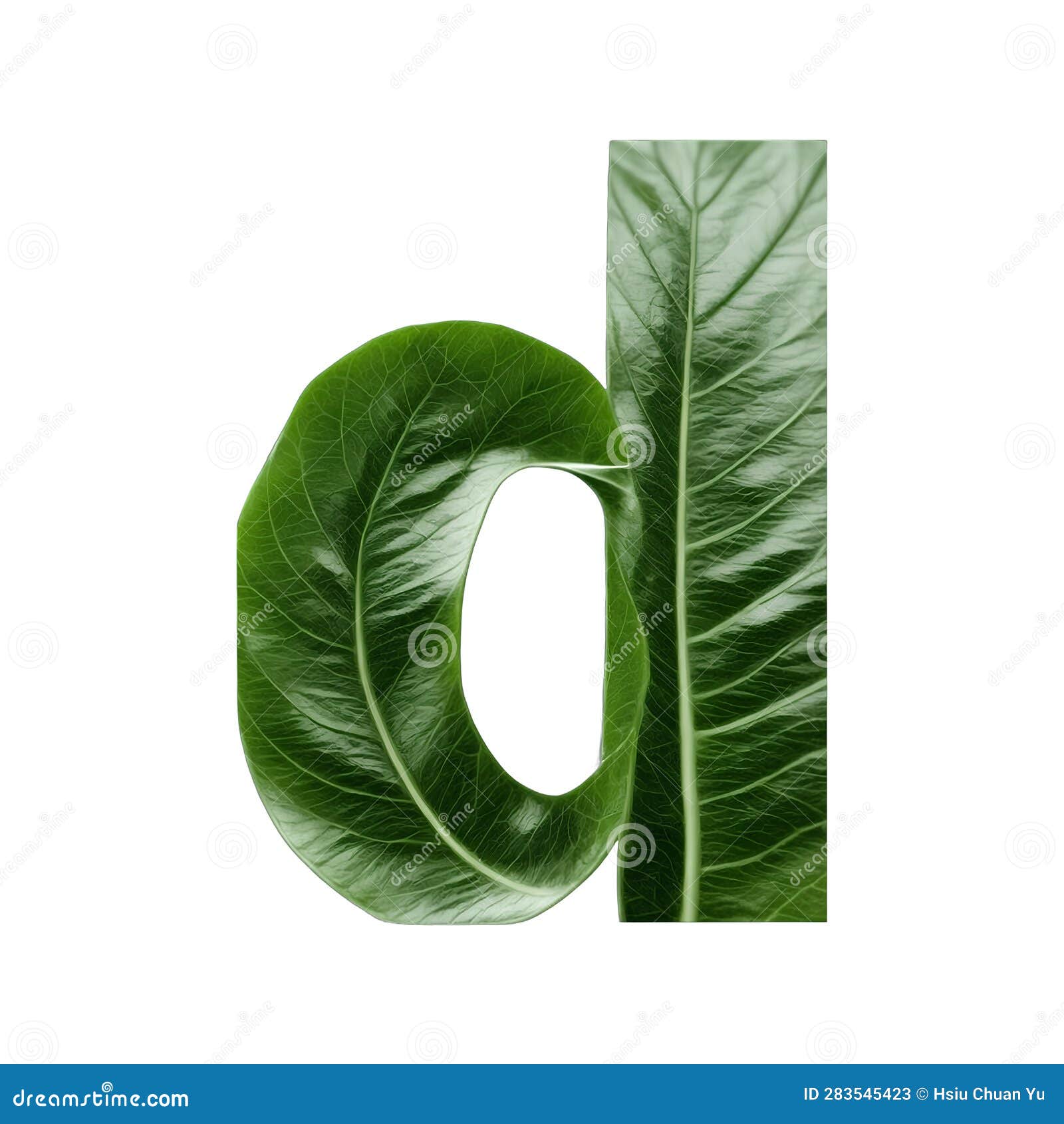 Green Leaf Typography Text Design Lowercase Alphabet D Stock Image ...