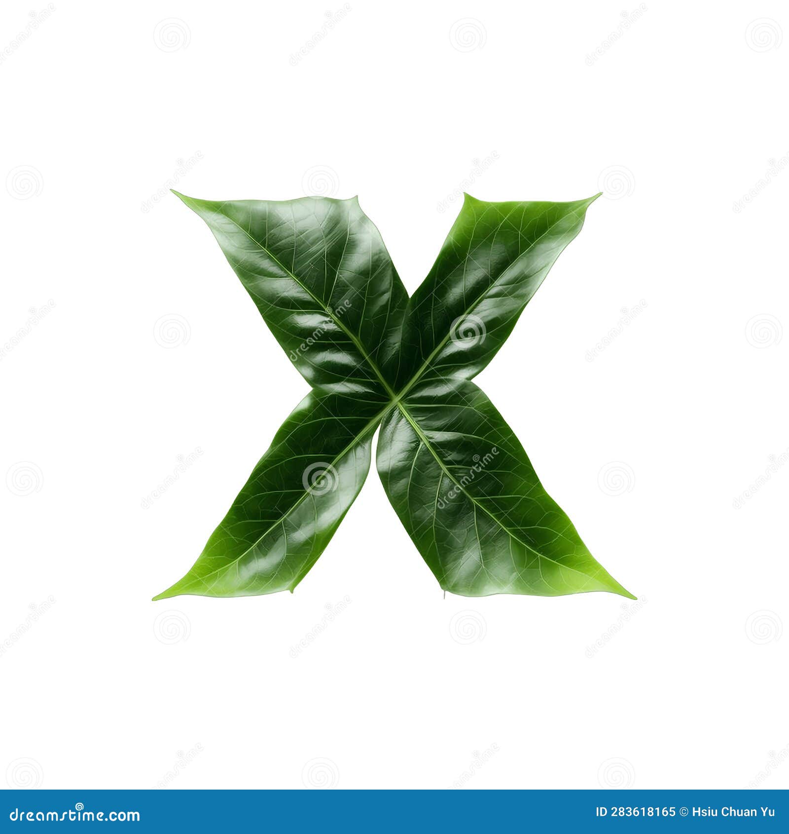 Green Leaf Typography Text Design Lowercase Alphabet X Stock Image ...