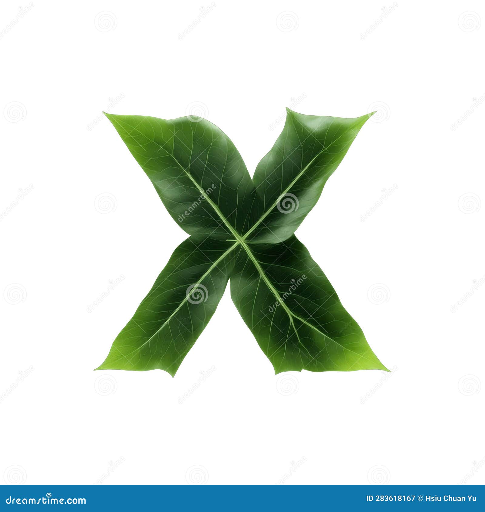 Green Leaf Typography Text Design Lowercase Alphabet X Stock Image ...