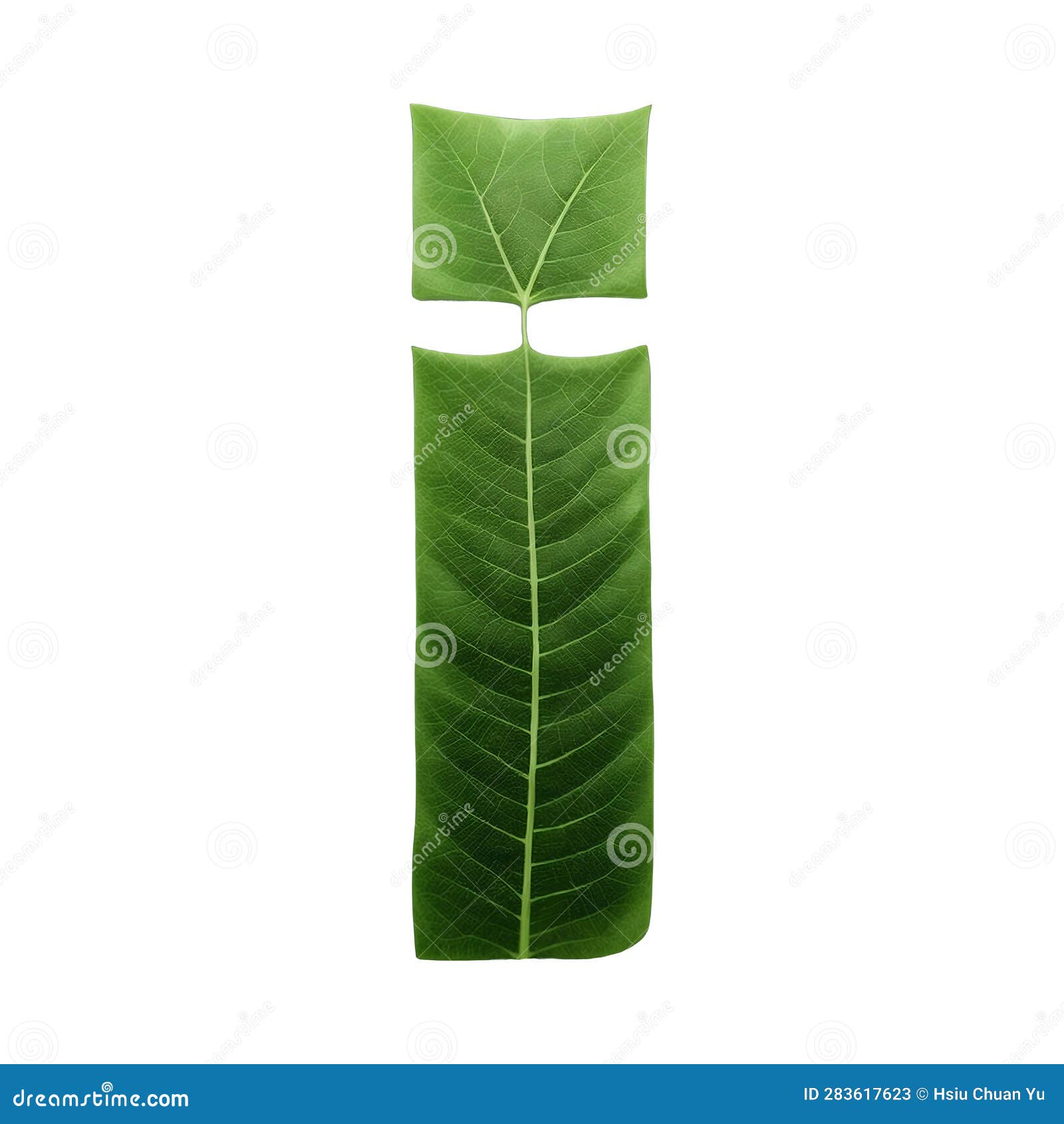 Green Leaf Typography Text Design Lowercase Alphabet I Stock Image ...