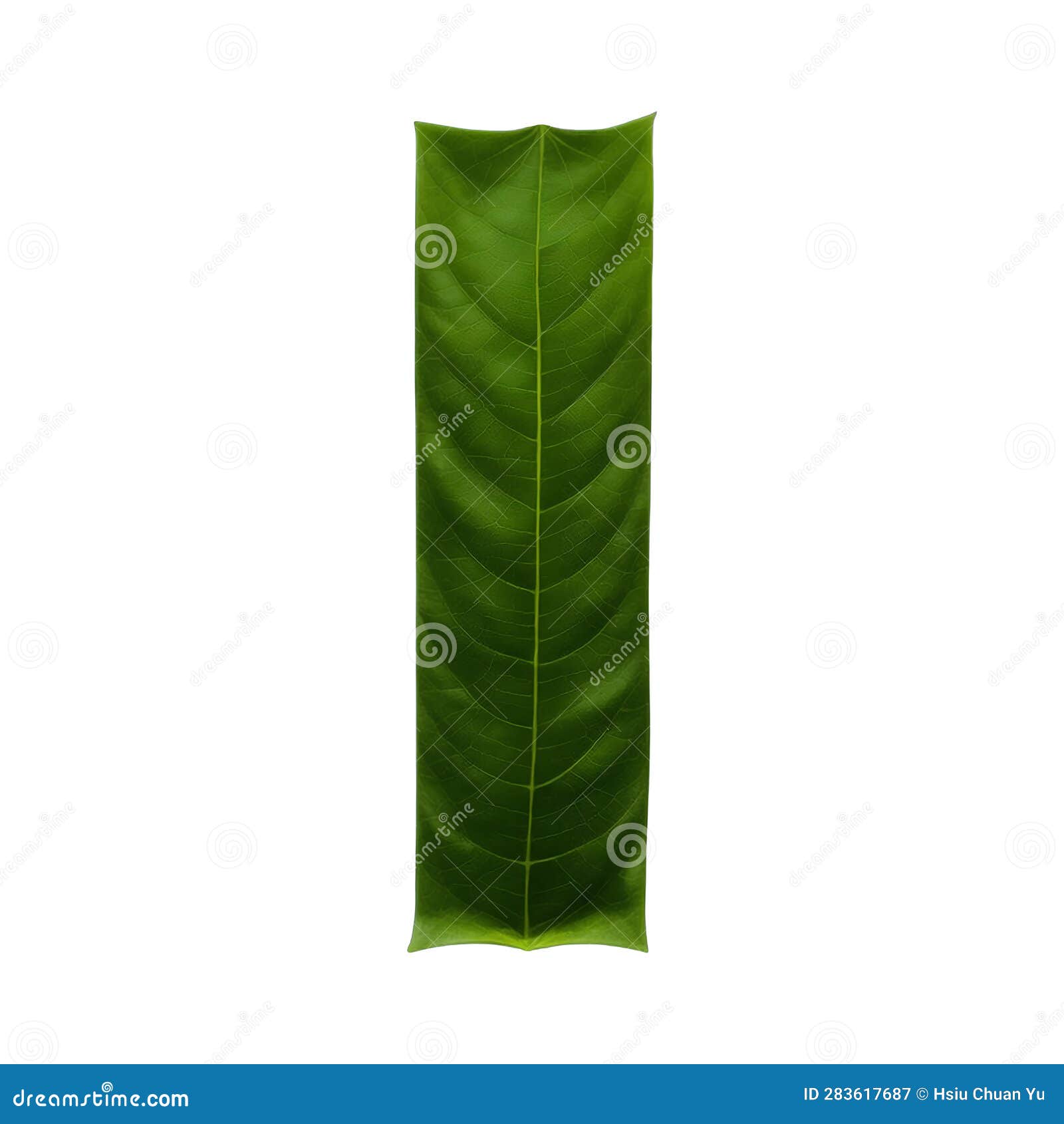 Green Leaf Typography Text Design Lowercase Alphabet L Stock Image ...