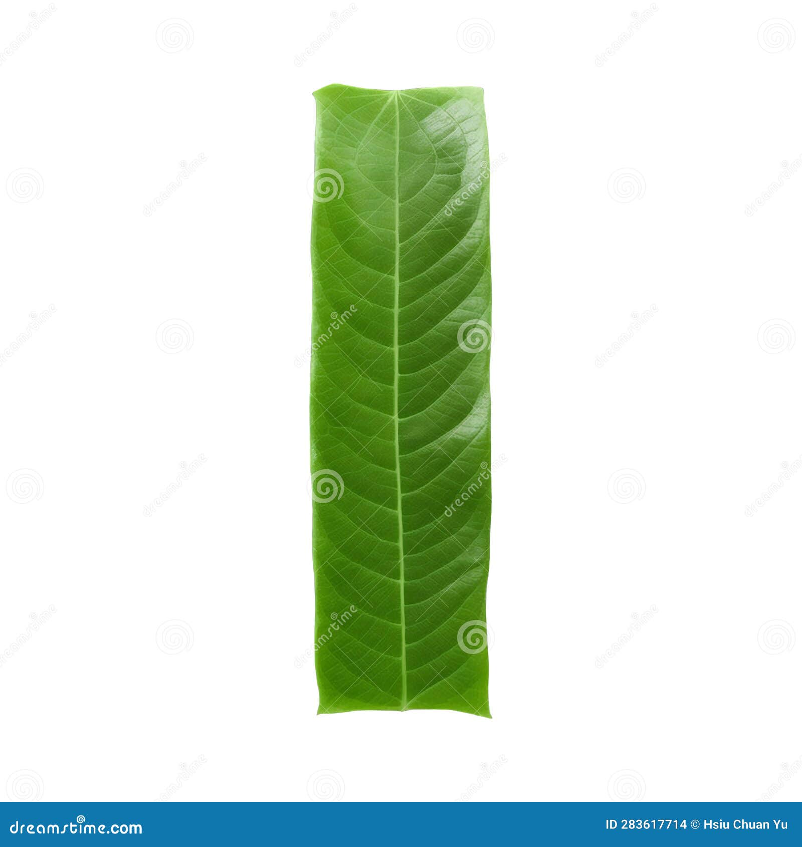 Green Leaf Typography Text Design Lowercase Alphabet L Stock Photo ...