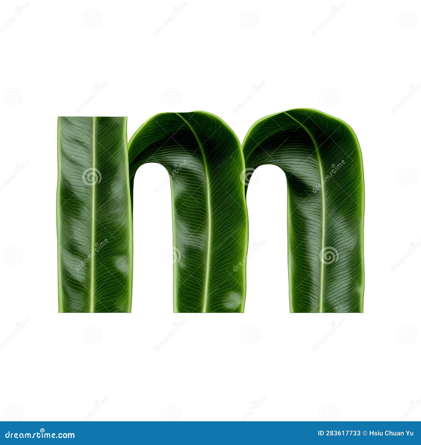 Green Leaf Typography Text Design Lowercase Alphabet M Stock Image ...