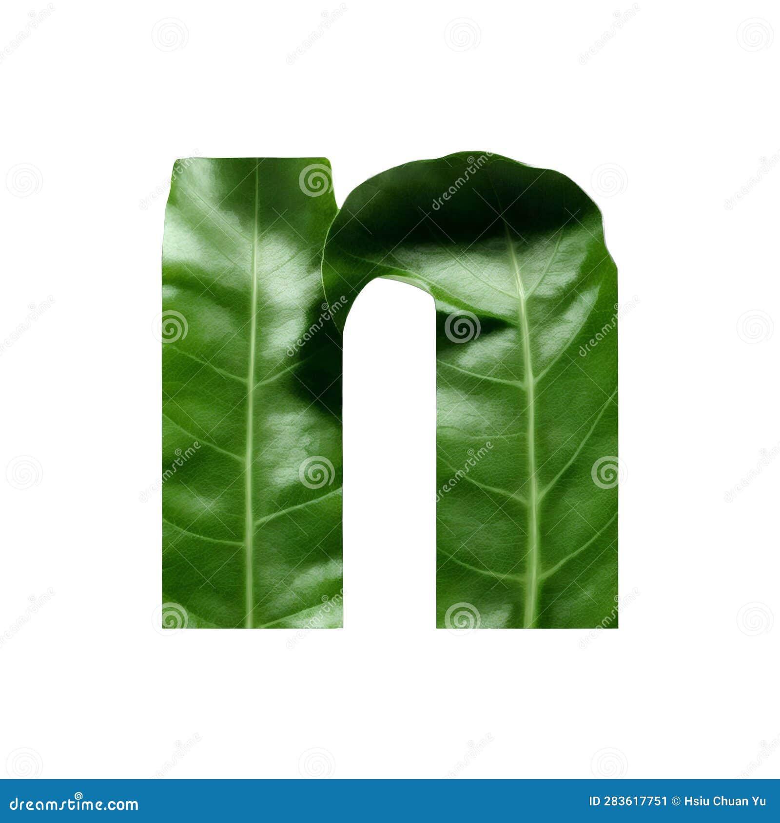 Green Leaf Typography Text Design Lowercase Alphabet N Stock Image ...