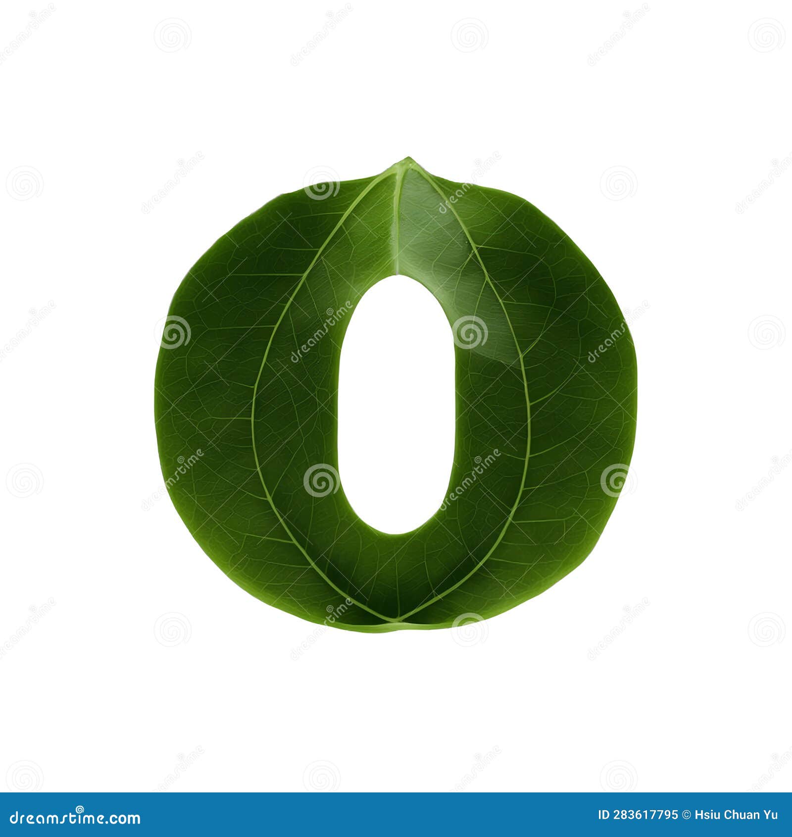 Green Leaf Typography Text Design Lowercase Alphabet O Stock Image ...