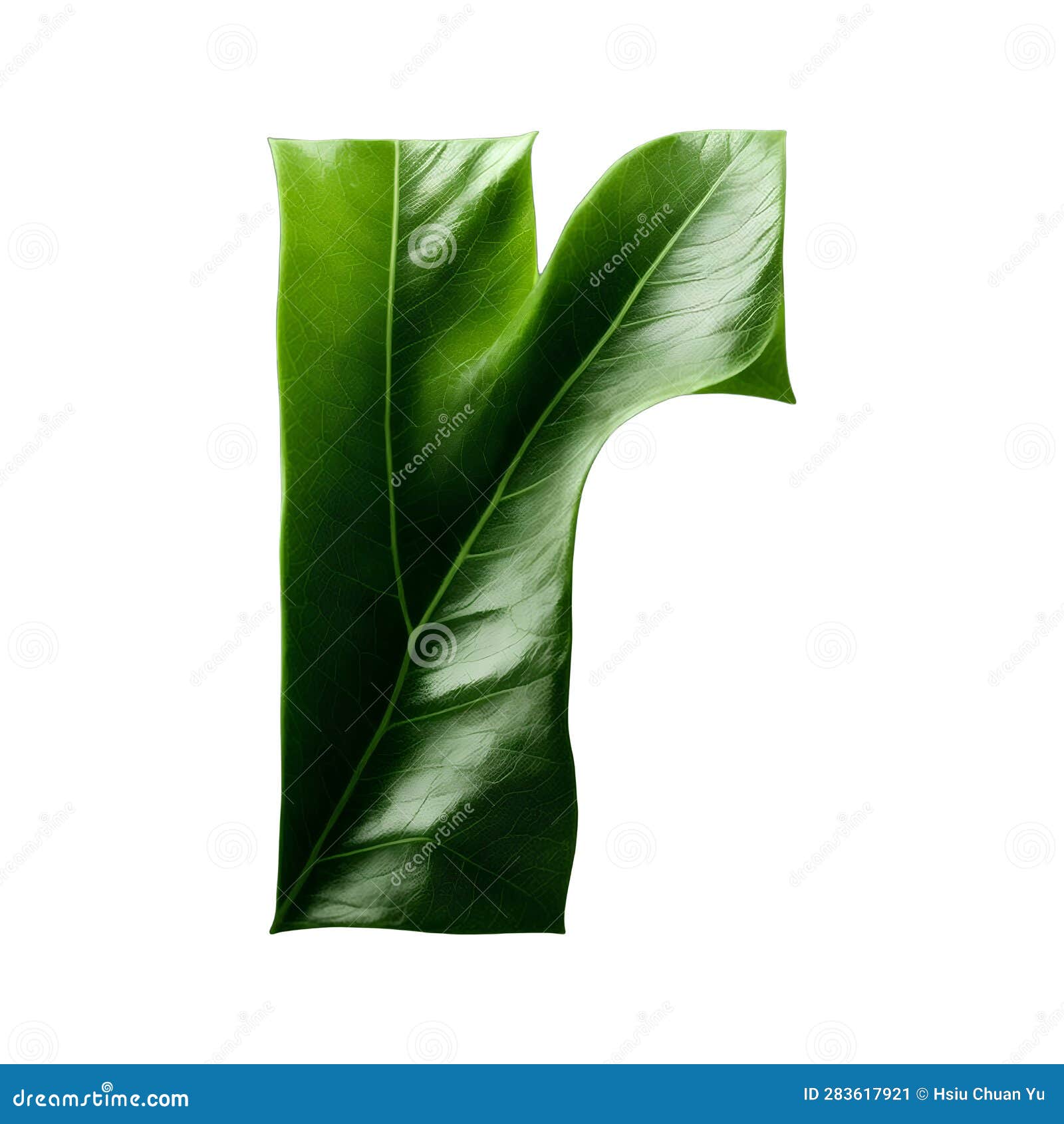 Green Leaf Typography Text Design Lowercase Alphabet R Stock Image ...