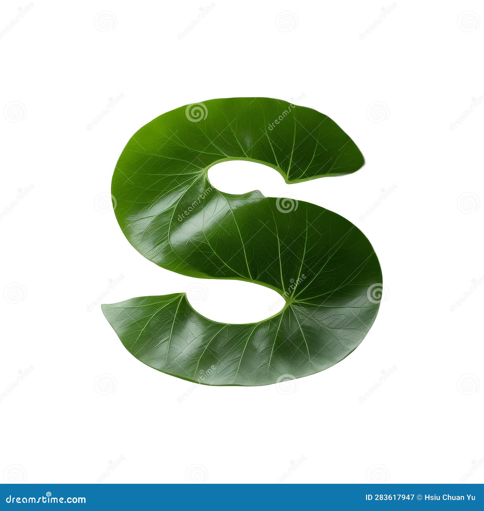 Green Leaf Typography Text Design Lowercase Alphabet S Stock Image ...