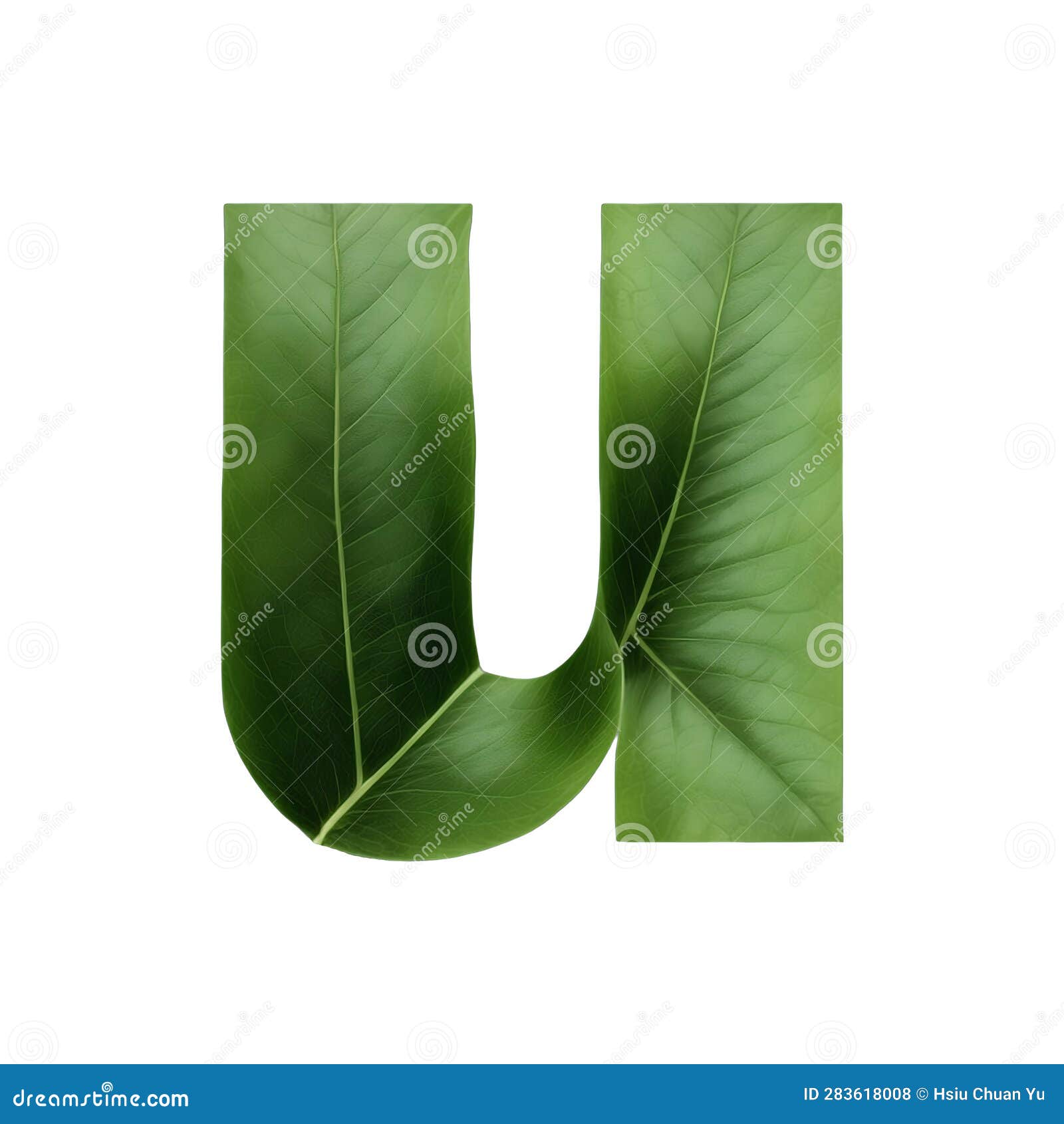 Green Leaf Typography Text Design Lowercase Alphabet U Stock Photo ...