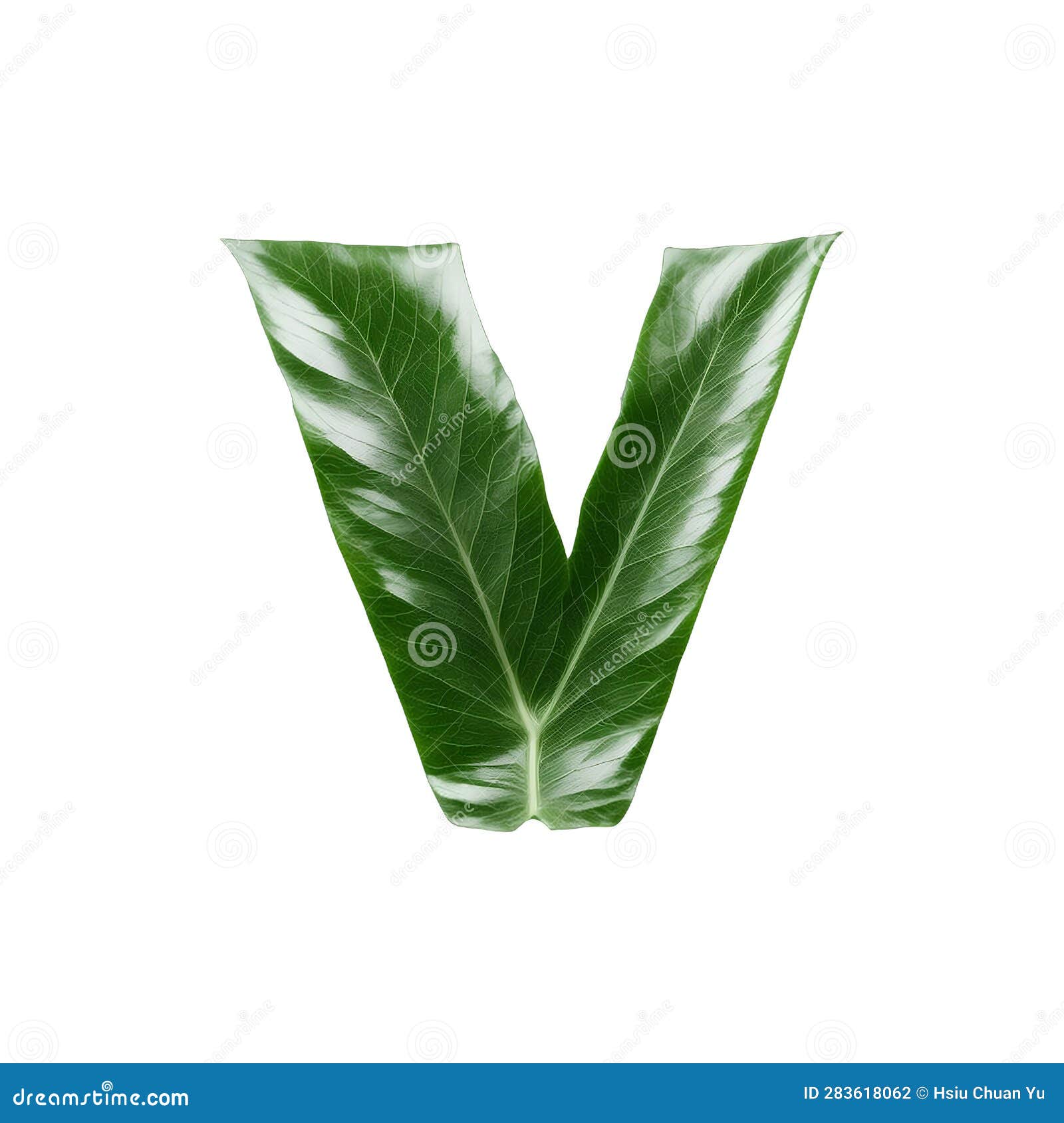 Green Leaf Typography Text Design Lowercase Alphabet V Stock Photo ...
