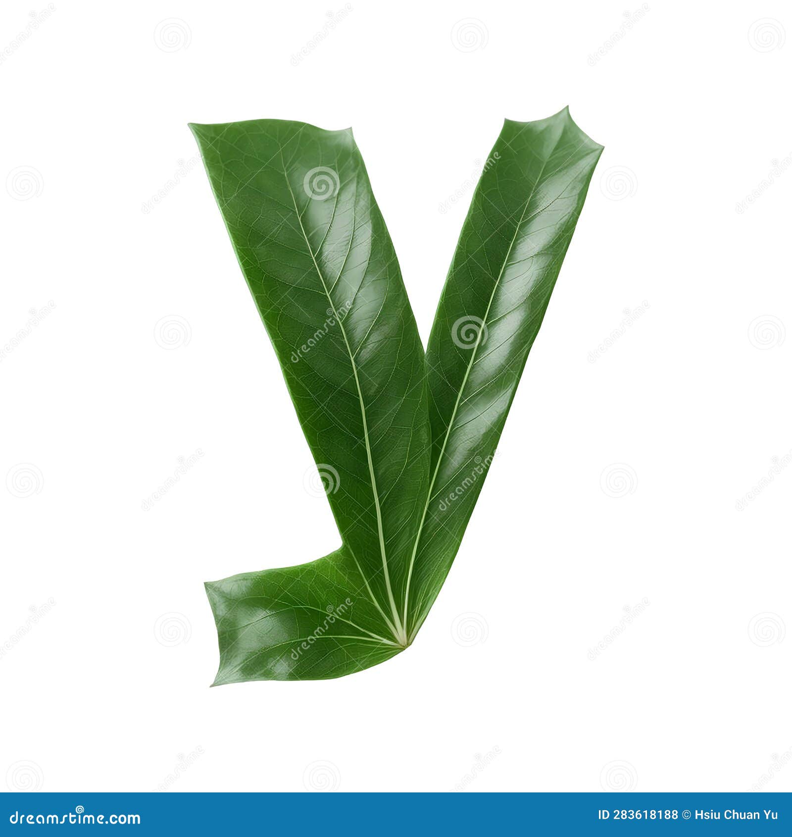 Green Leaf Typography Text Design Lowercase Alphabet Y Stock Photo ...