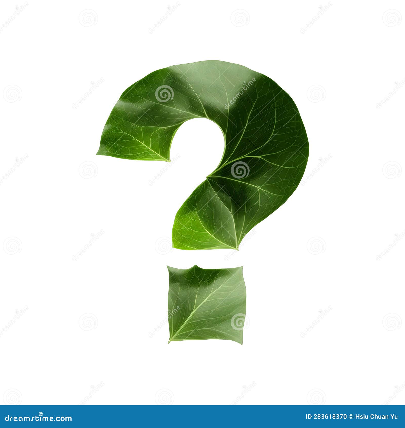 Green Leaf Typography Text Design Question Mark Stock Photo ...