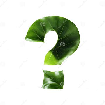 Green Leaf Typography Text Design Question Mark Stock Image ...