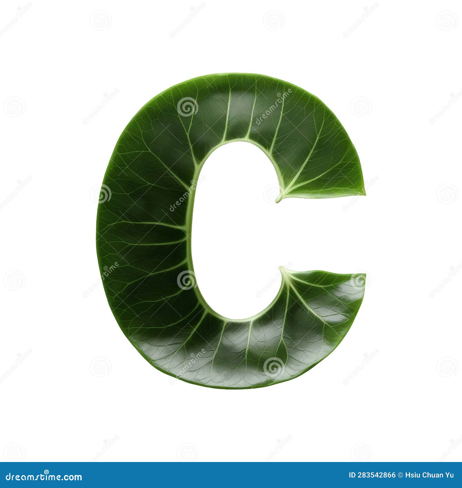 Green Leaf Typography Text Design Uppercase Alphabet C Stock Photo ...