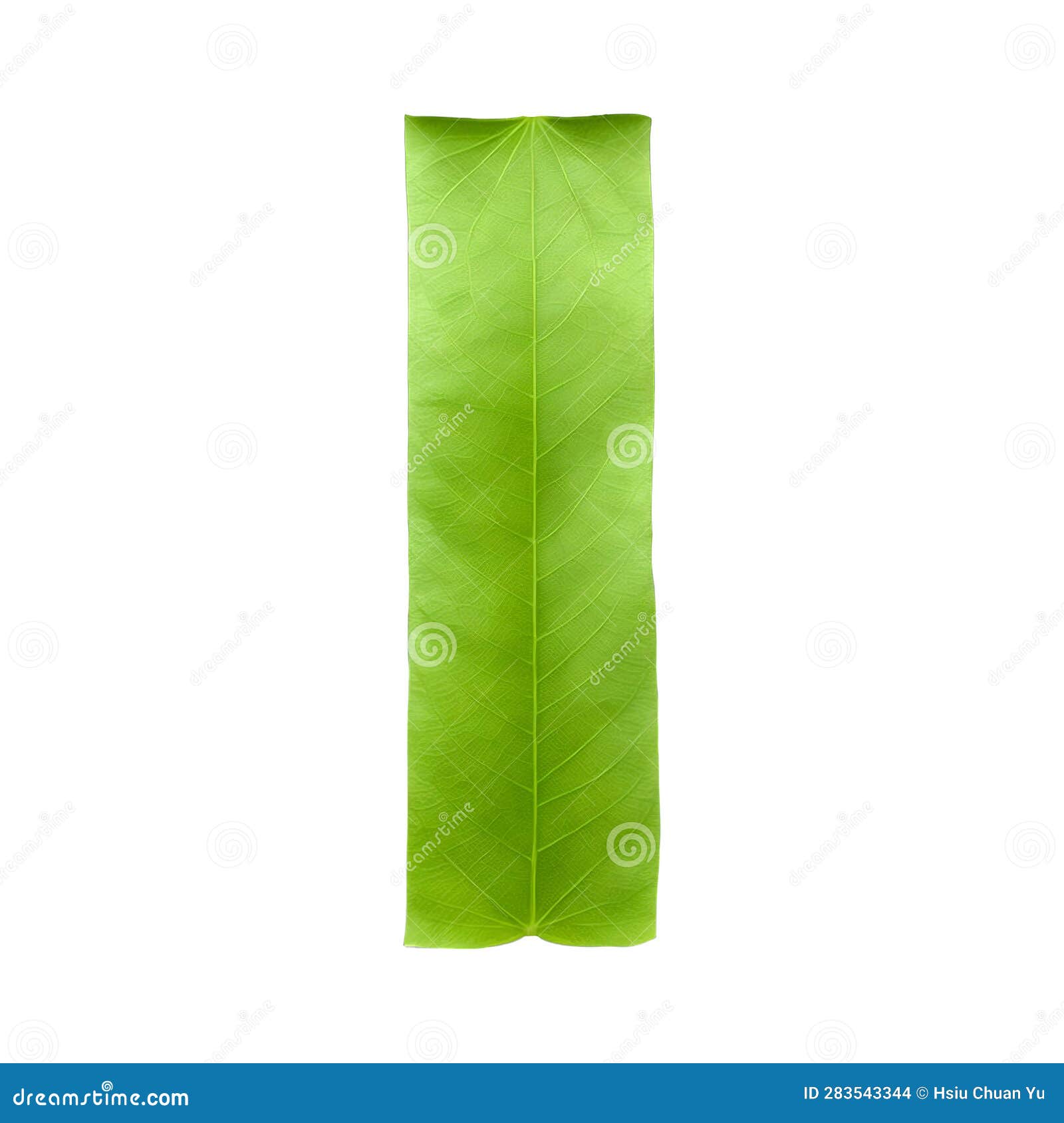 Green Leaf Typography Text Design Uppercase Alphabet I Stock Photo ...