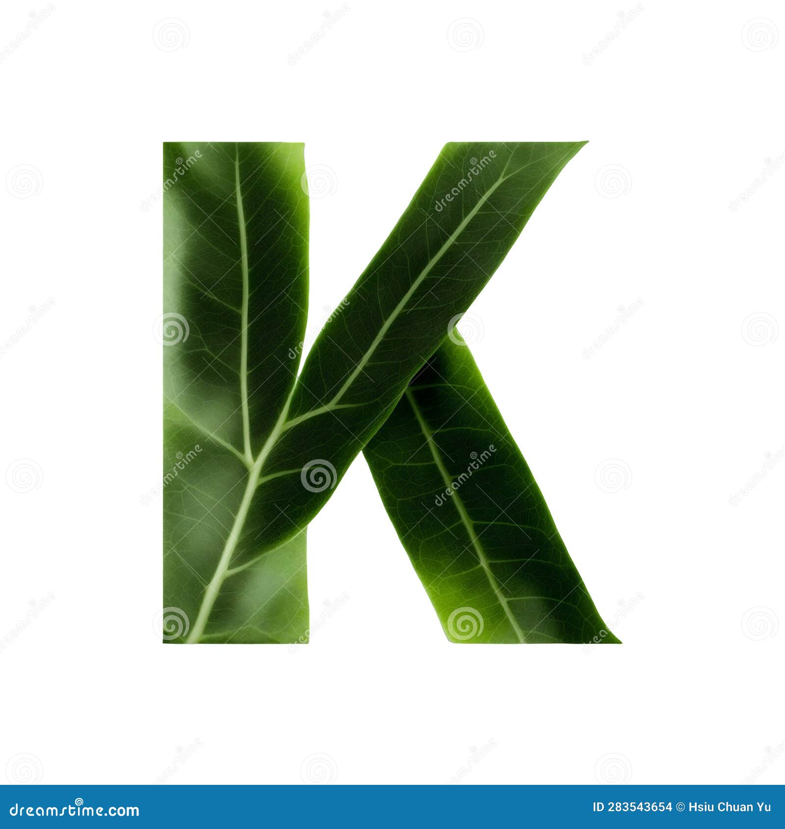 Green Leaf Typography Text Design Uppercase Alphabet K Stock Photo ...