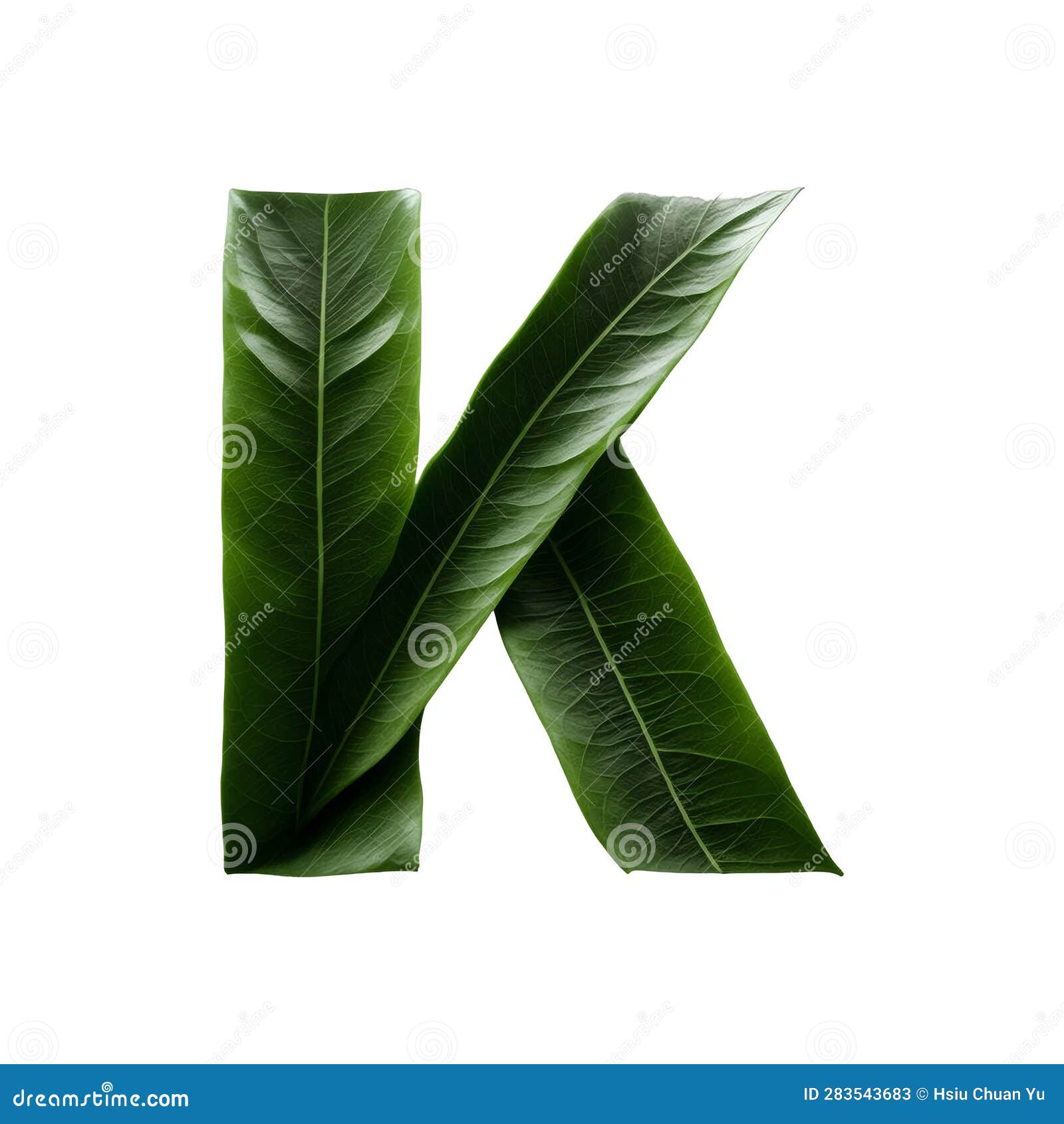 Green Leaf Typography Text Design Uppercase Alphabet K Stock Image ...