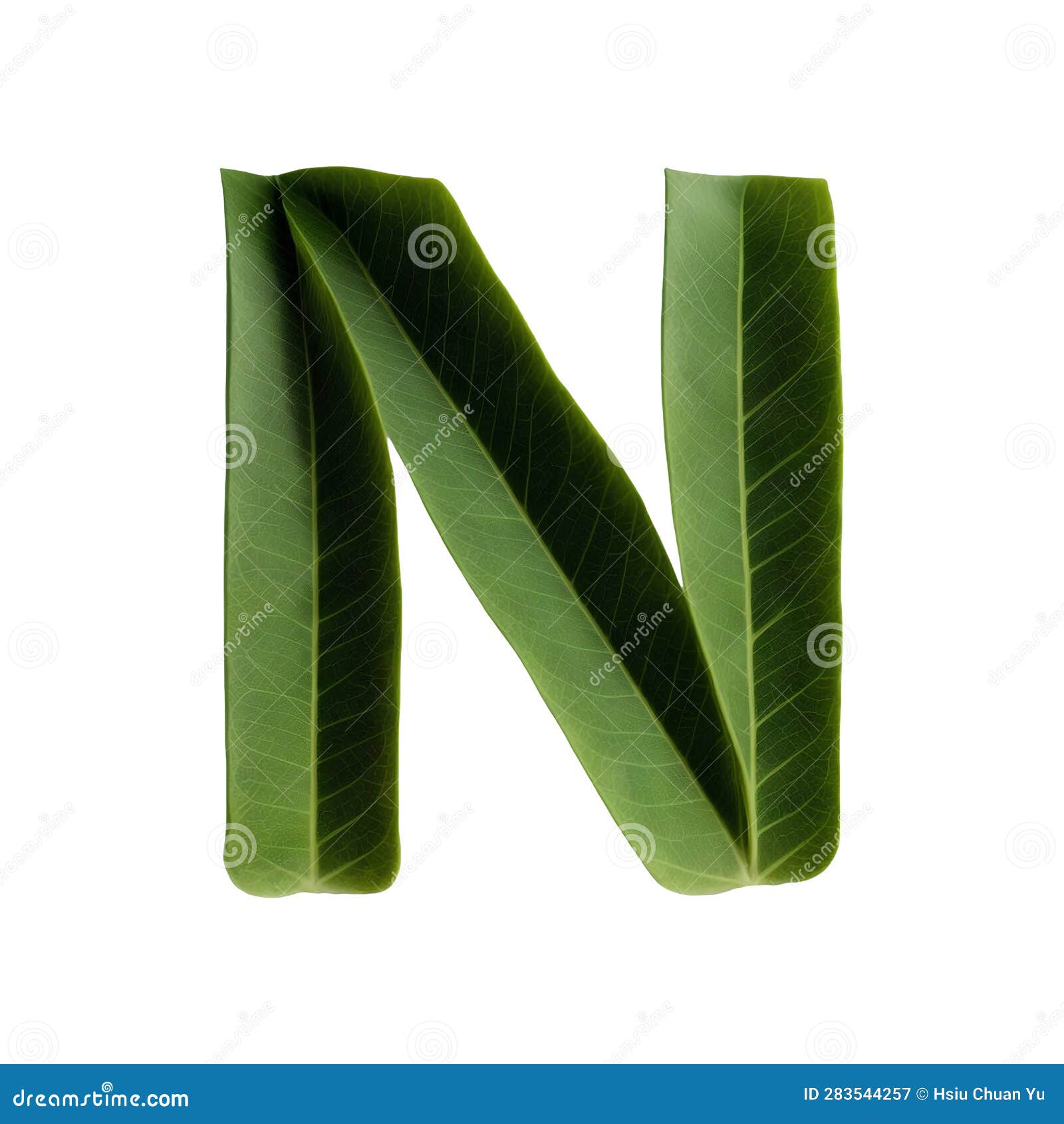 Green Leaf Typography Text Design Uppercase Alphabet N Stock Image - Illustration of nature ...