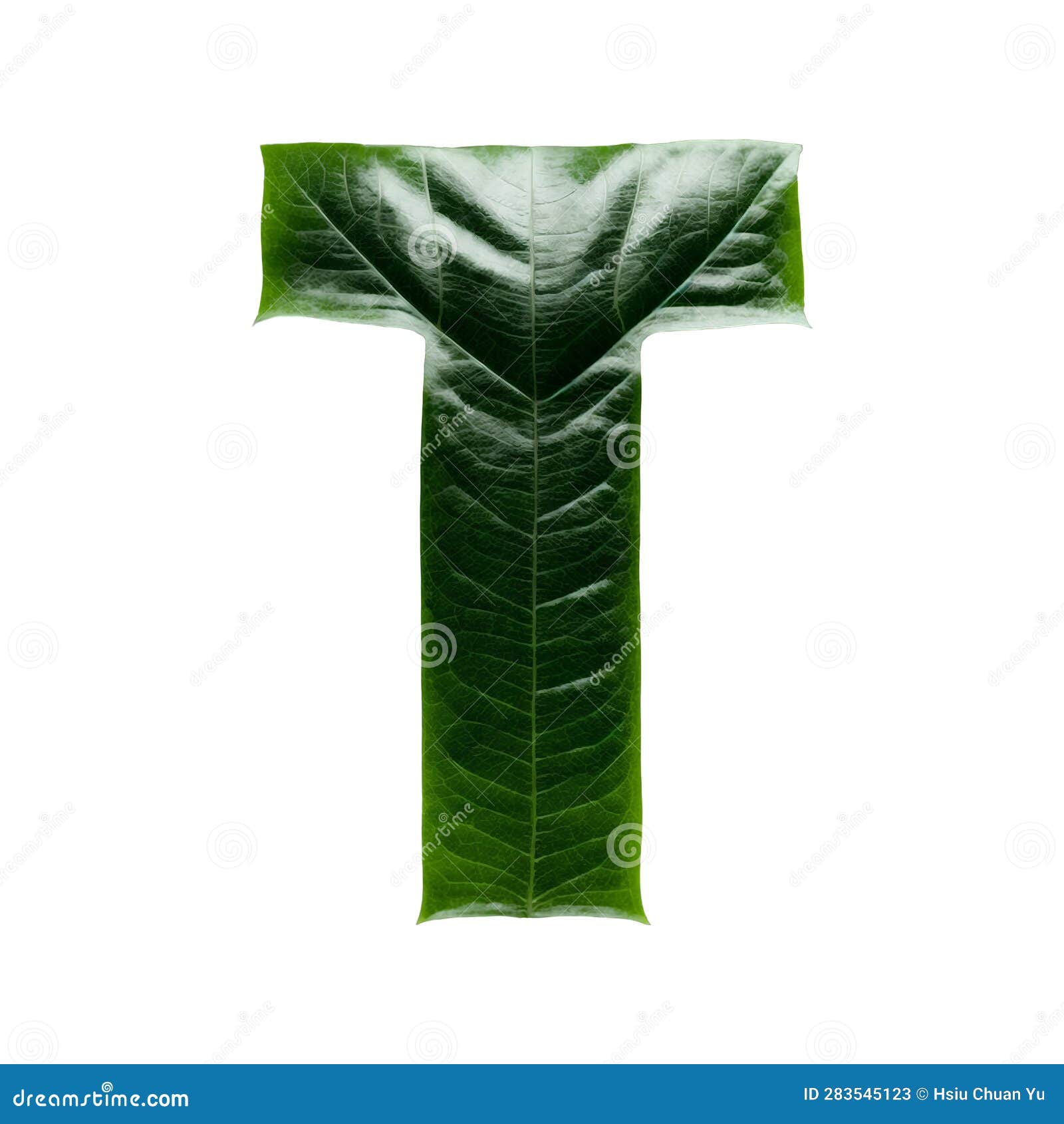 Green Leaf Typography Text Design Uppercase Alphabet T Stock Image - Illustration of advertising ...