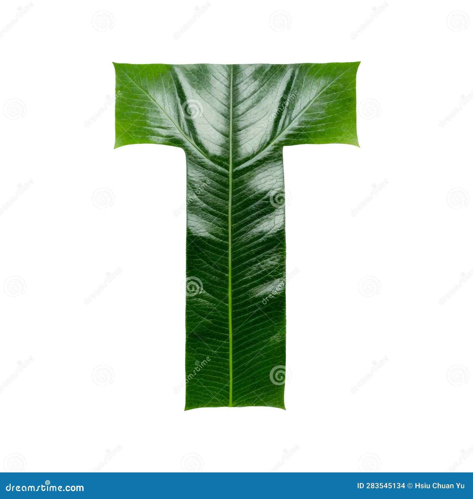 Green Leaf Typography Text Design Uppercase Alphabet T Stock Photo - Illustration of garden ...