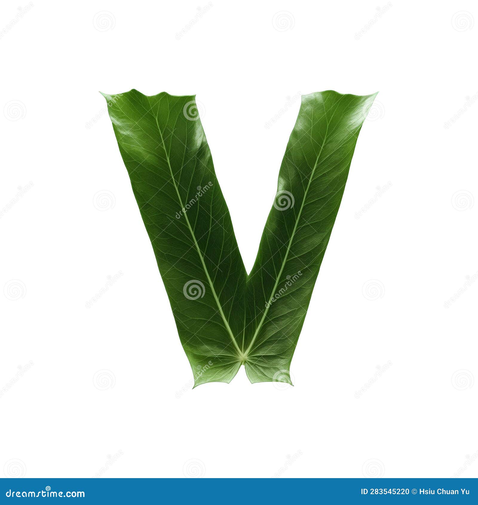 Green Leaf Typography Text Design Uppercase Alphabet V Stock Photo ...