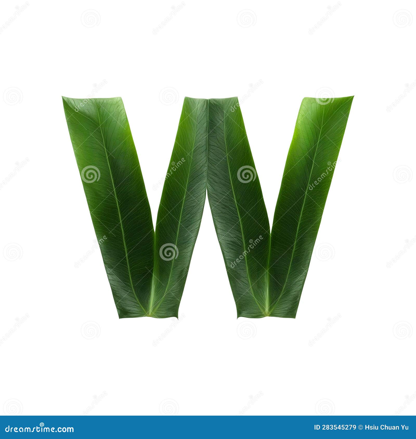 Green Leaf Typography Text Design Uppercase Alphabet W Stock Image ...