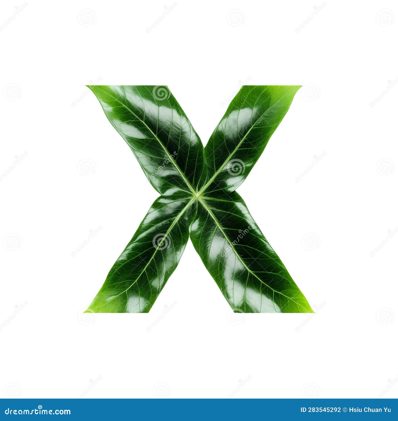 Green Leaf Typography Text Design Uppercase Alphabet X Stock Photo - Image of typography ...