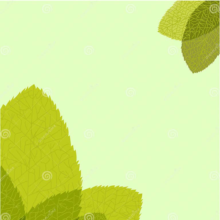 Green Leaf. Vector Illustration Stock Vector - Illustration of decor ...