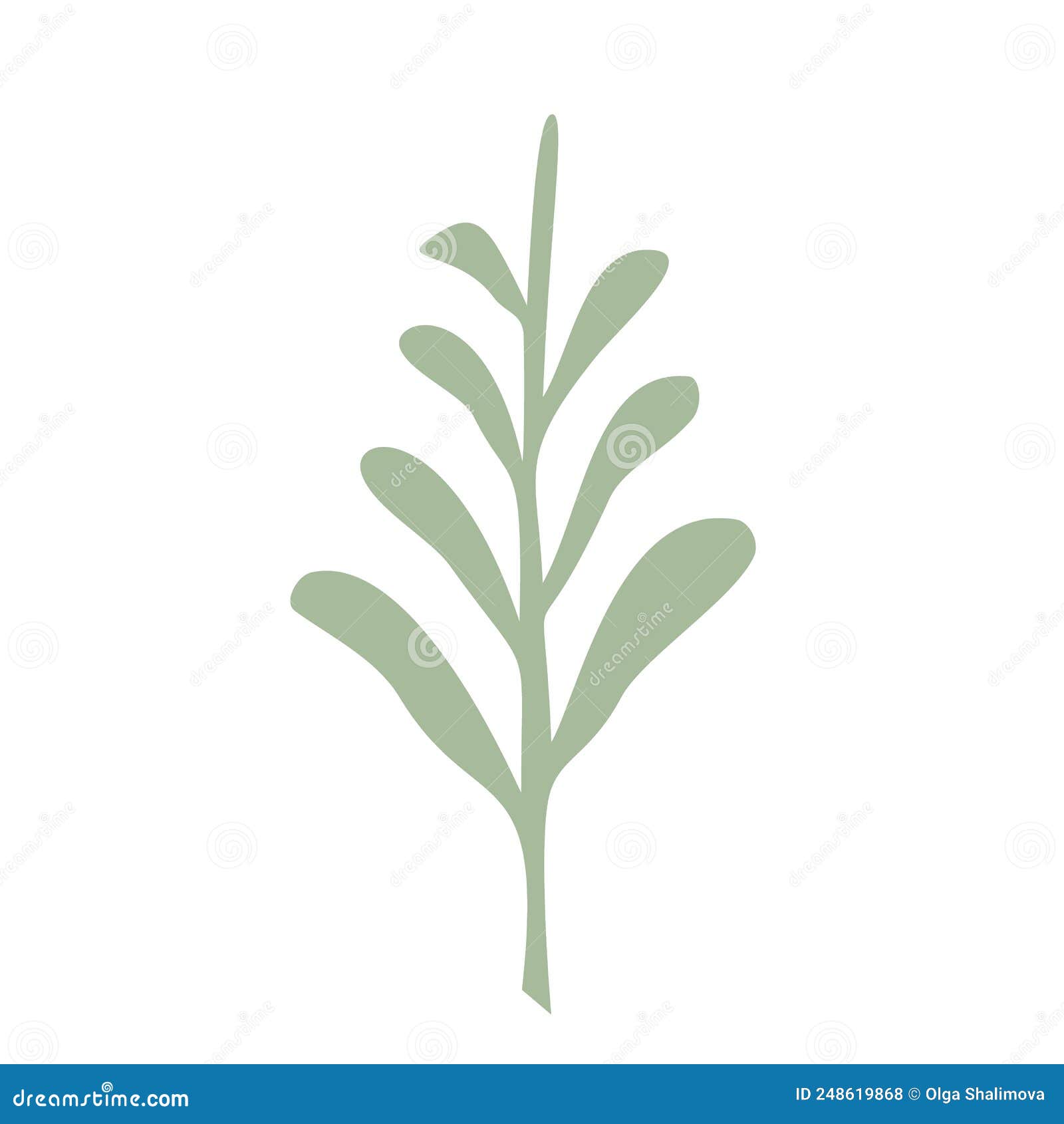 Green Leaf Vector Isolated on White Background. Leaves in Modern Flat ...