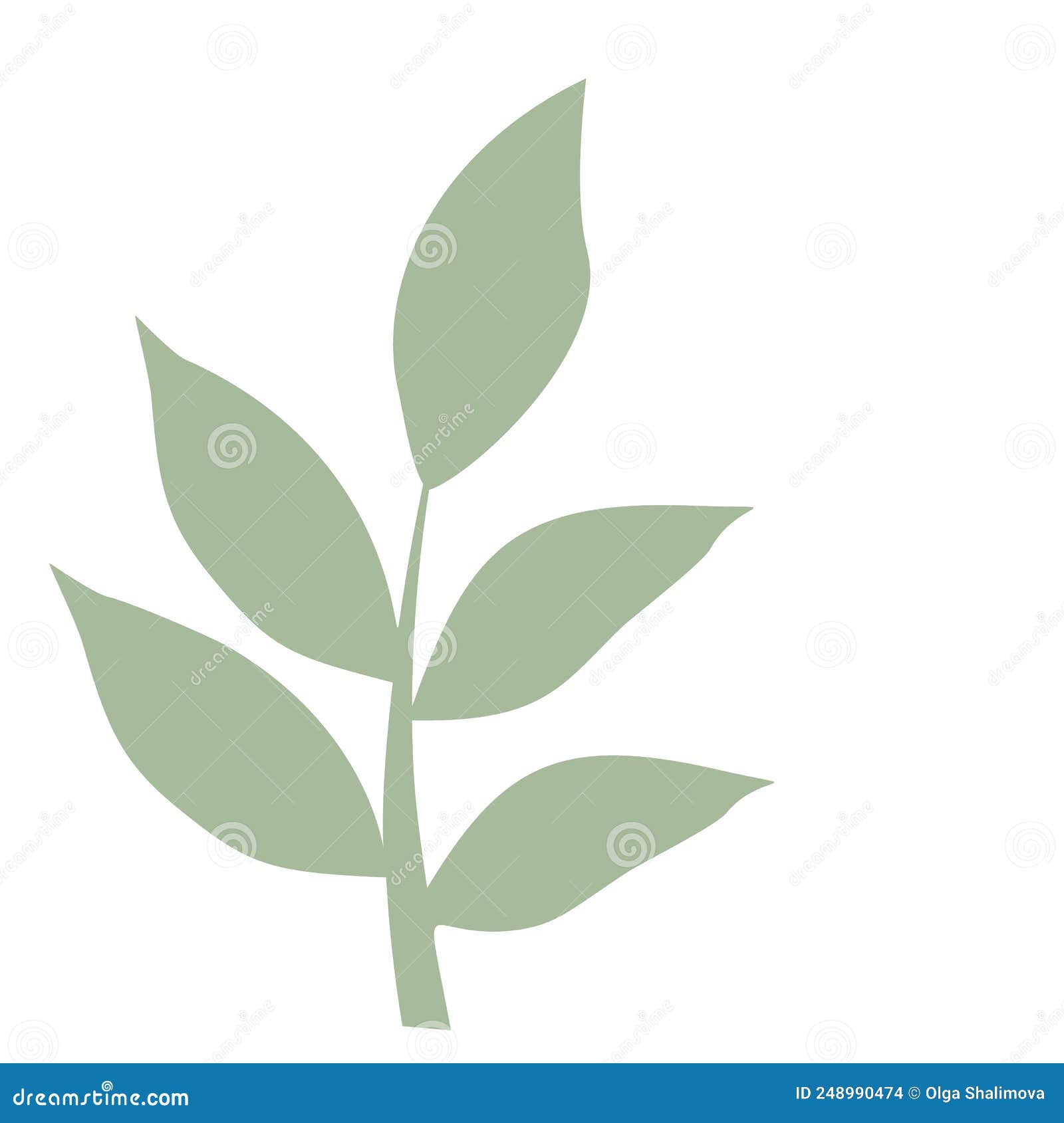 Green Leaf Vector Isolated on White Background. Leaves in Modern Flat ...