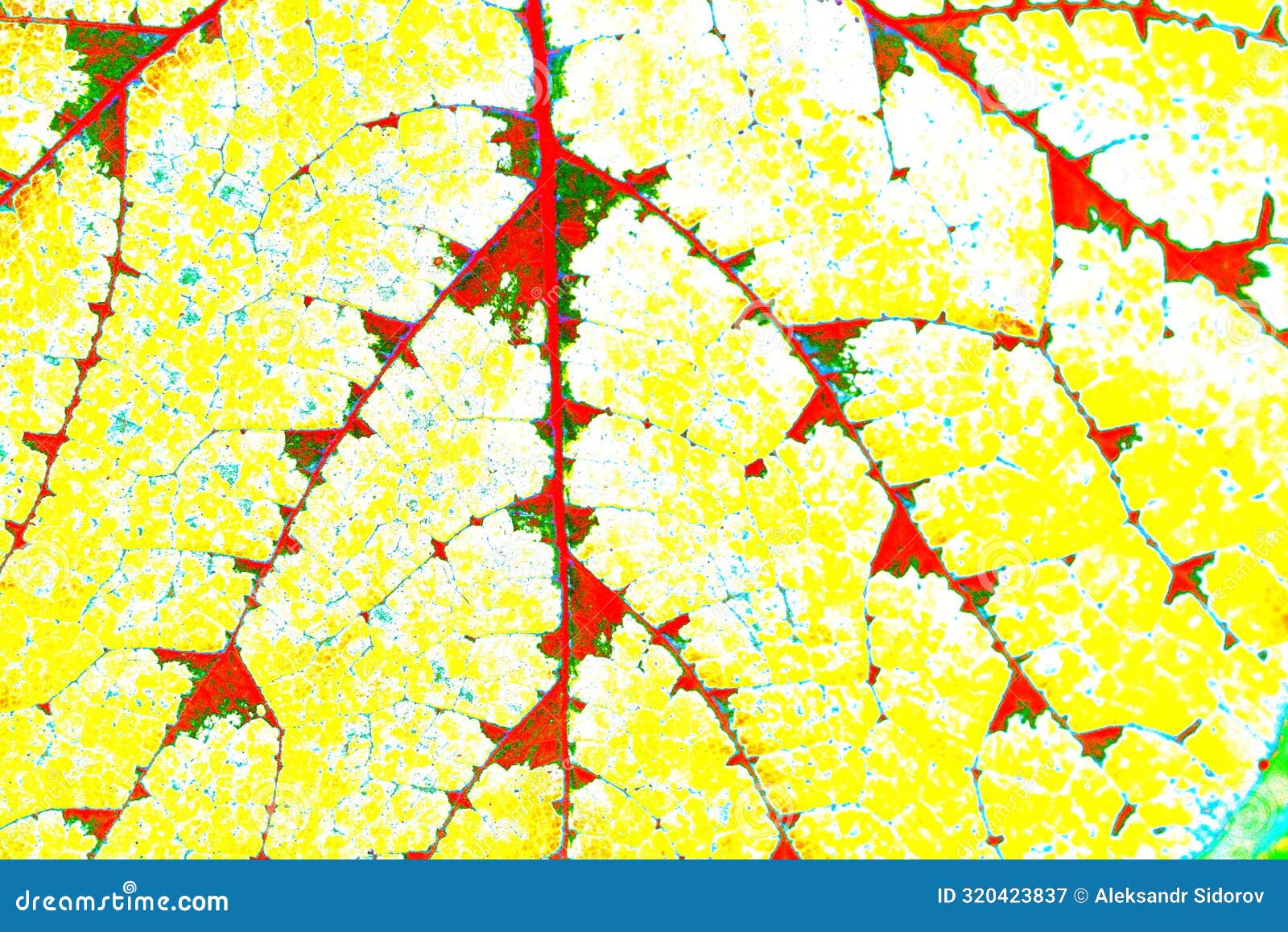 Green Leaf with Veins, Changed Color Scheme 2 Stock Image - Image of ...