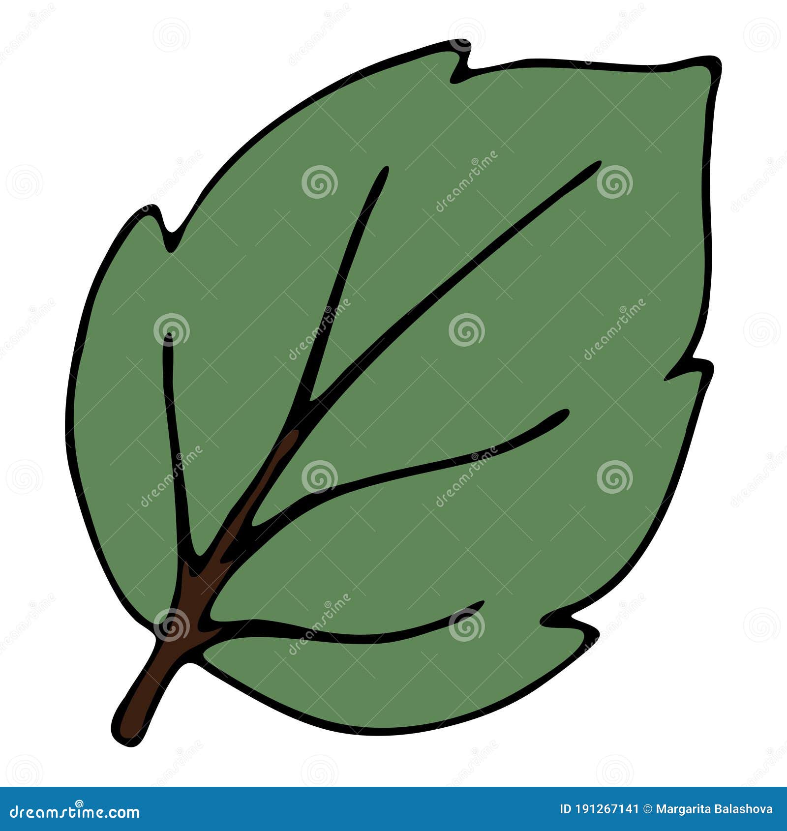 Green Leaf with Veins, Color Vector Doodles with Black Outline Stock ...