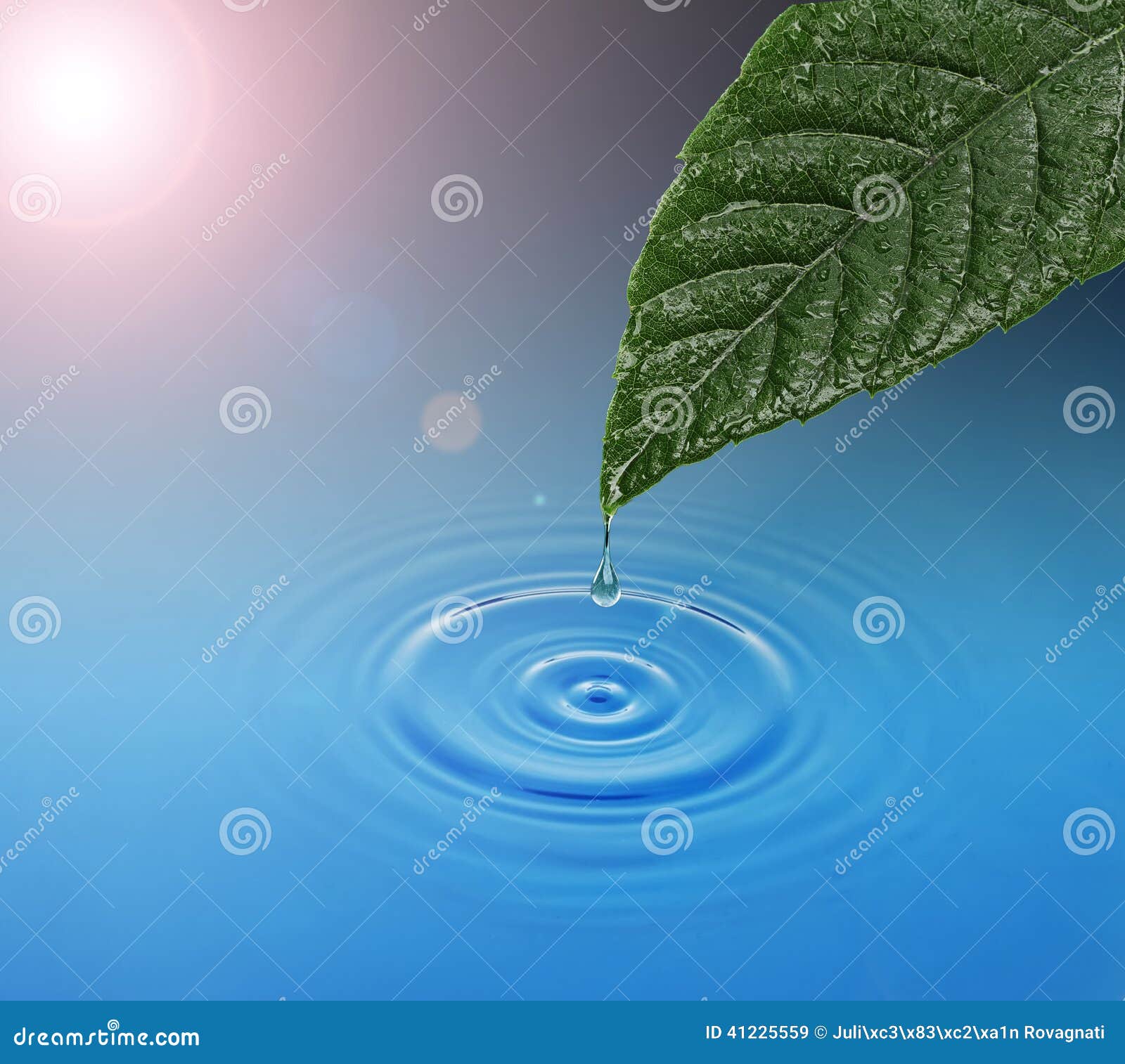 Green Leaf with Water Drop Falling Stock Image - Image of harmony ...
