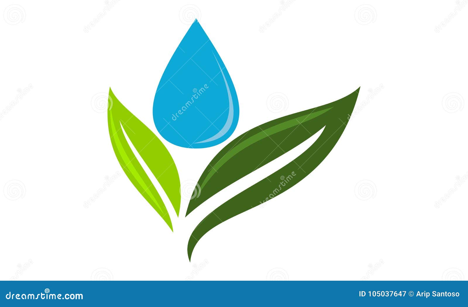 Green leaf and water drop stock vector. Illustration of botany - 105037647