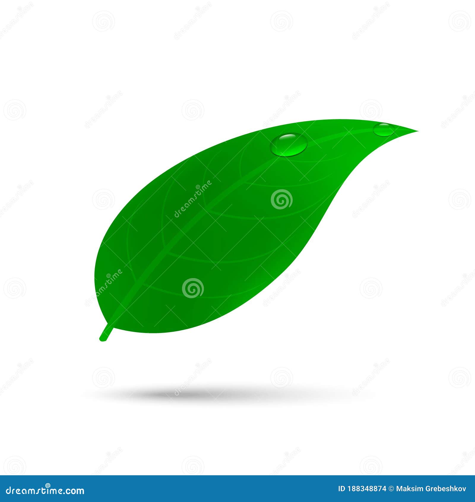 Green leaf with water drop stock illustration. Illustration of element ...