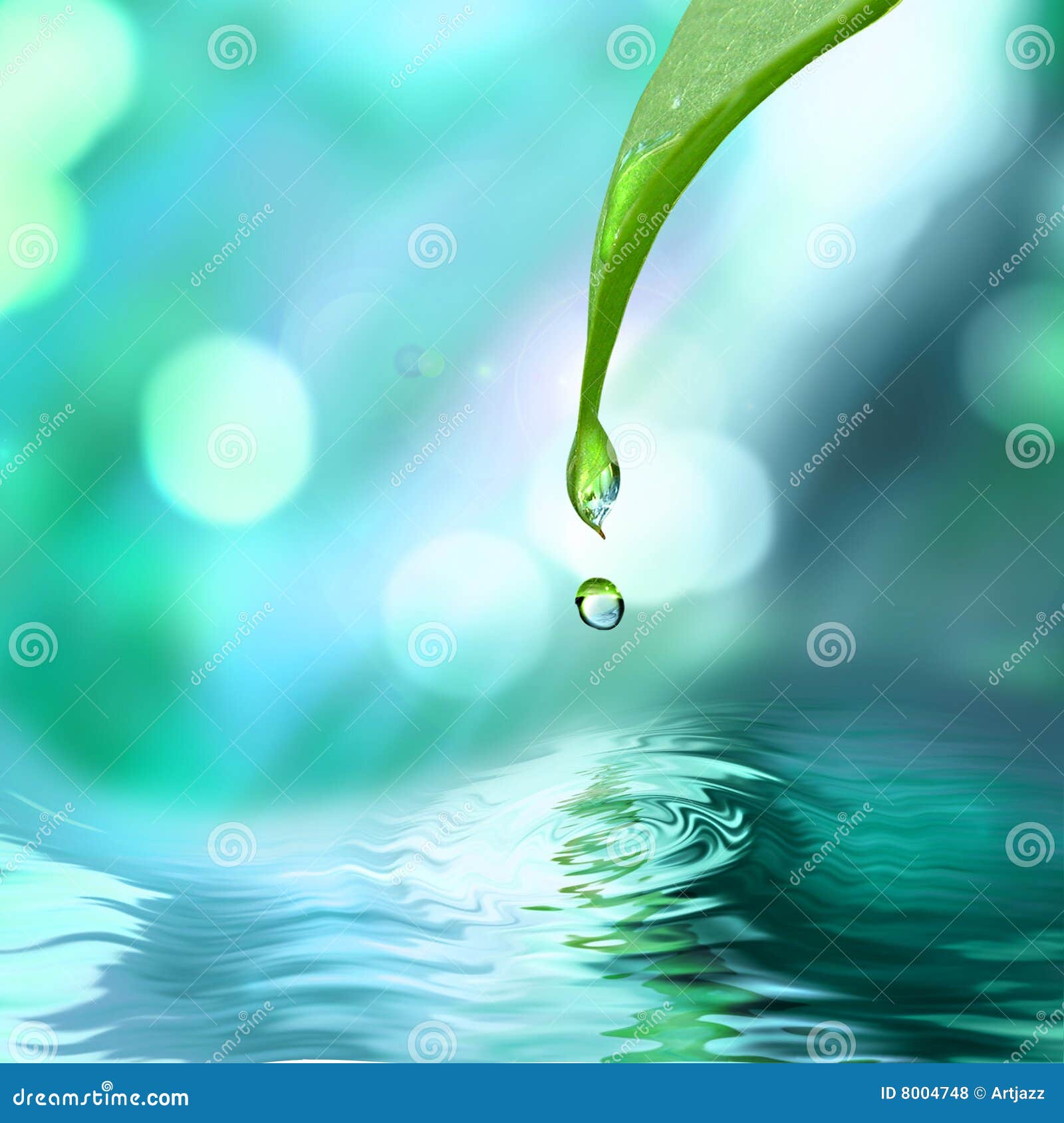 Green Leaf with Water Drop Water Stock Photo - Image of lifestyle, leaf ...