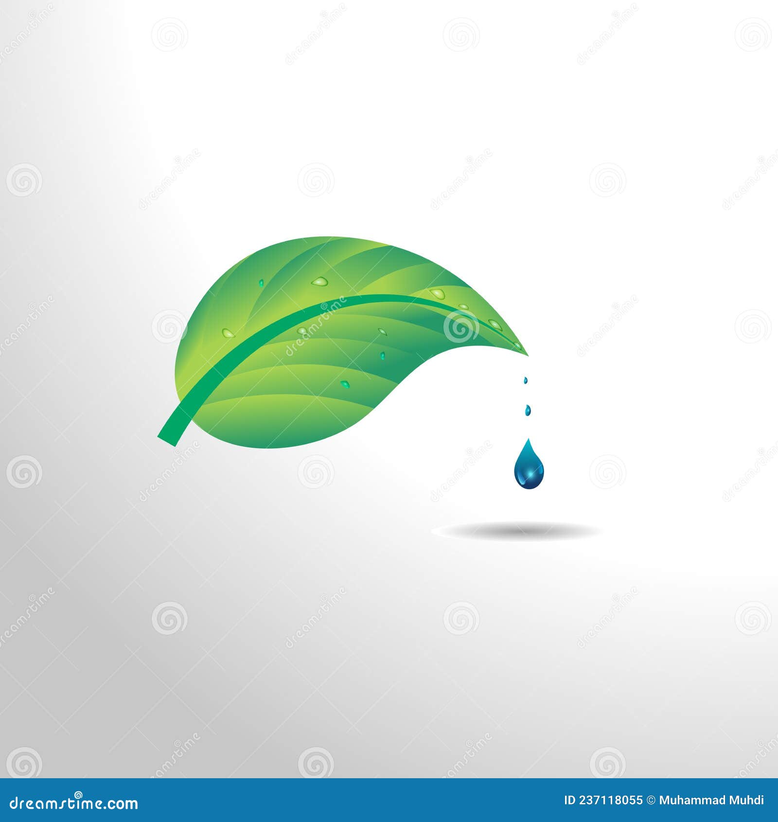 Green Leaf with Water Drops, Leaf and Water Drop Element Vector Stock ...
