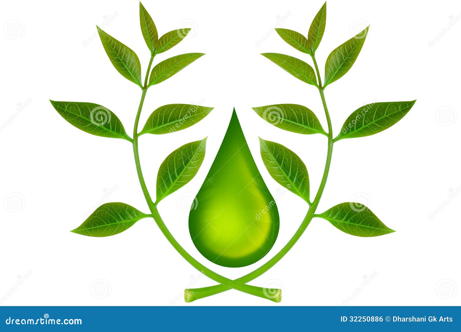 Green leaf and water drops stock illustration. Illustration of ...