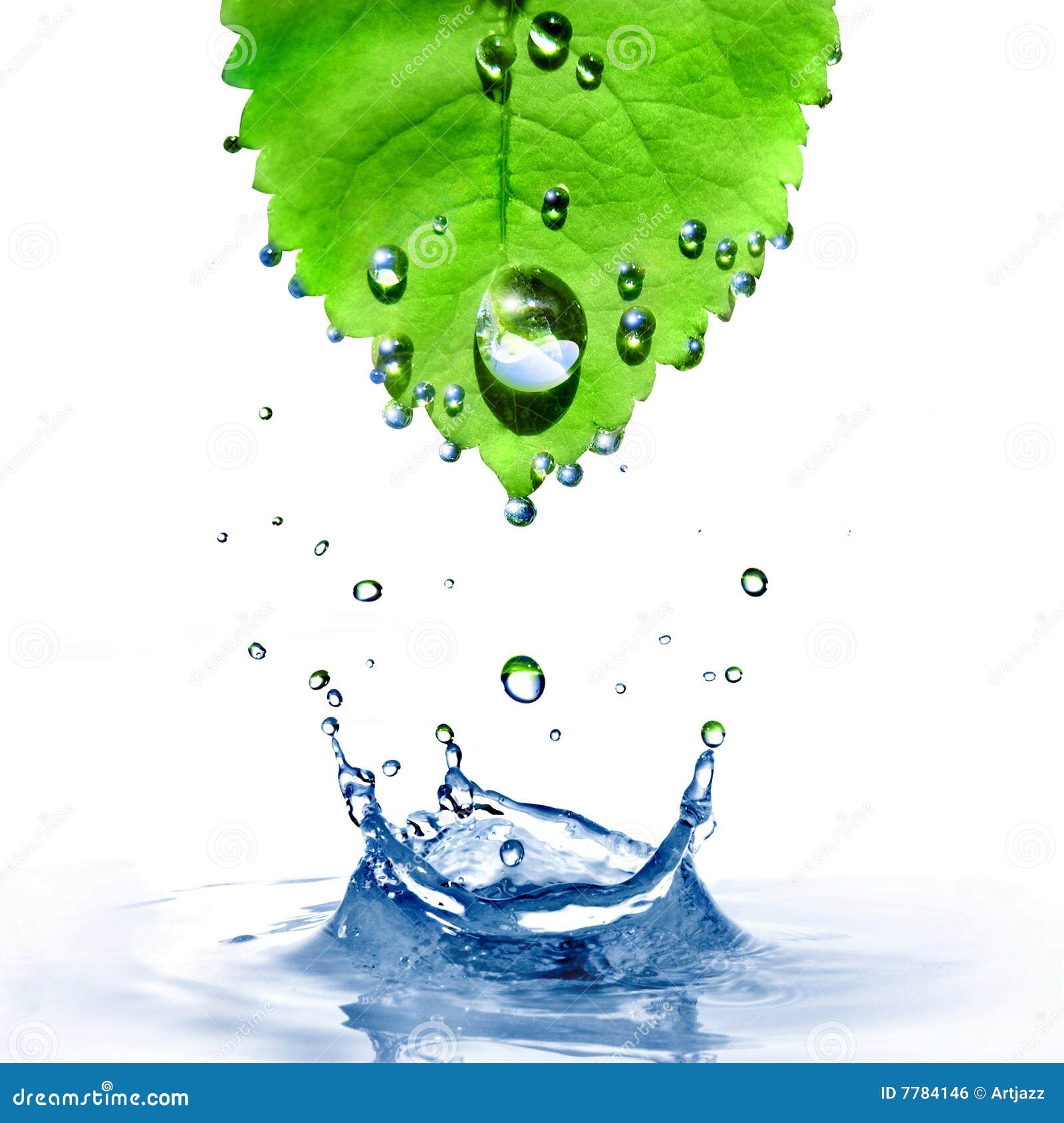 Green Leaf with Water Drops and Splash Isolated on Stock Photo - Image ...
