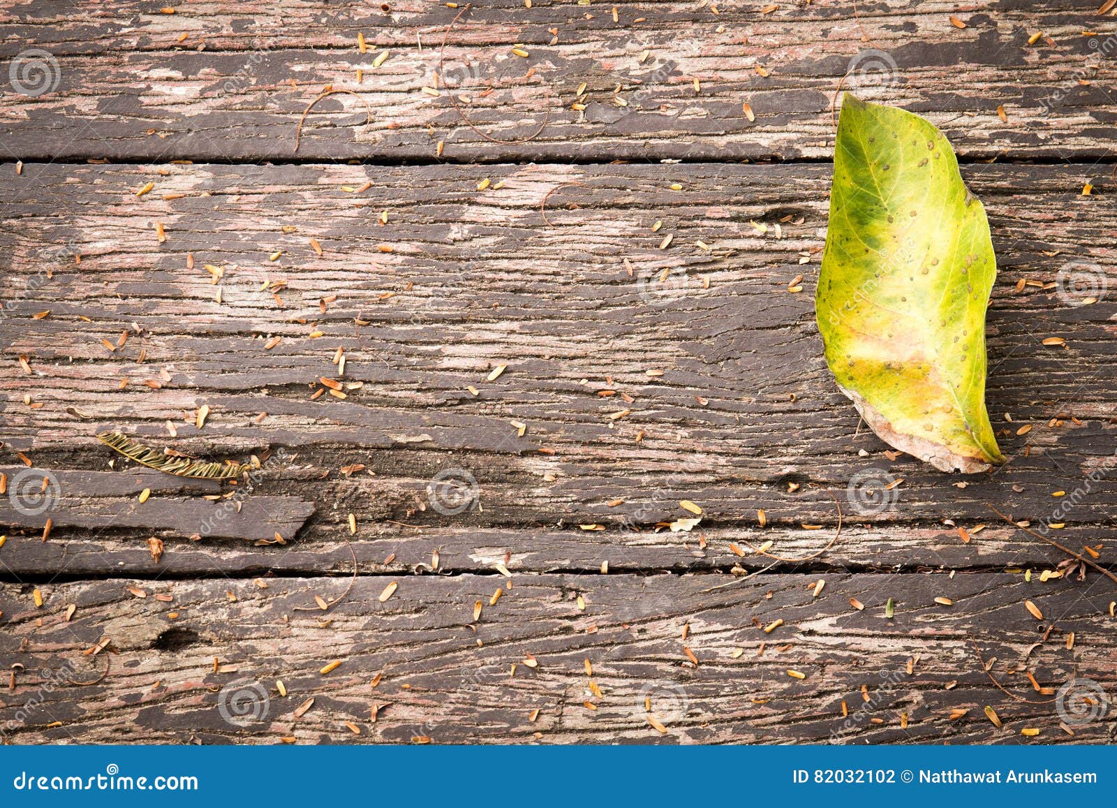 Green Leaf on a Wood Texture Stock Photo - Image of vintage, leaf: 82032102