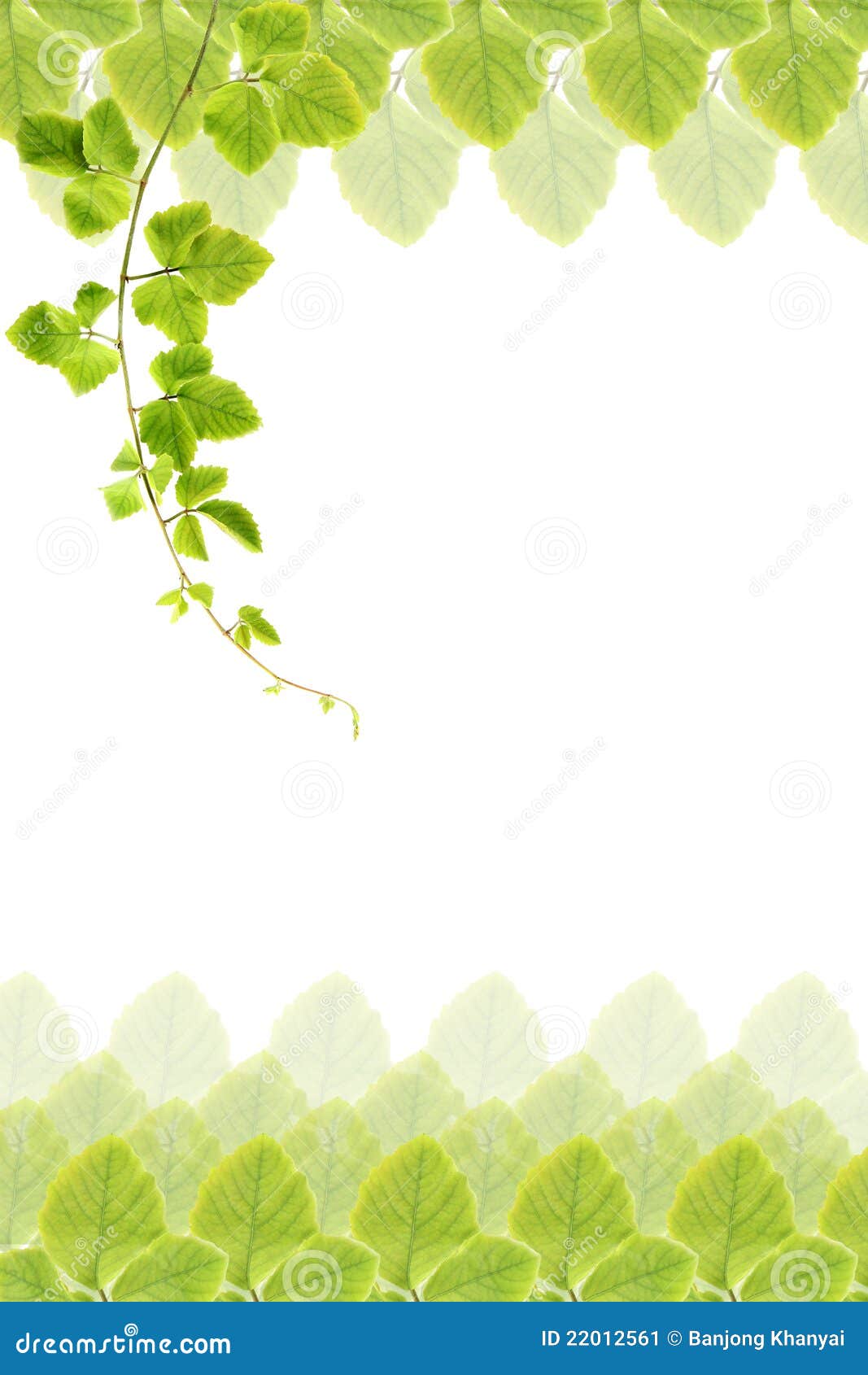 Green Leafs Frame. stock image. Image of light, background - 22012561