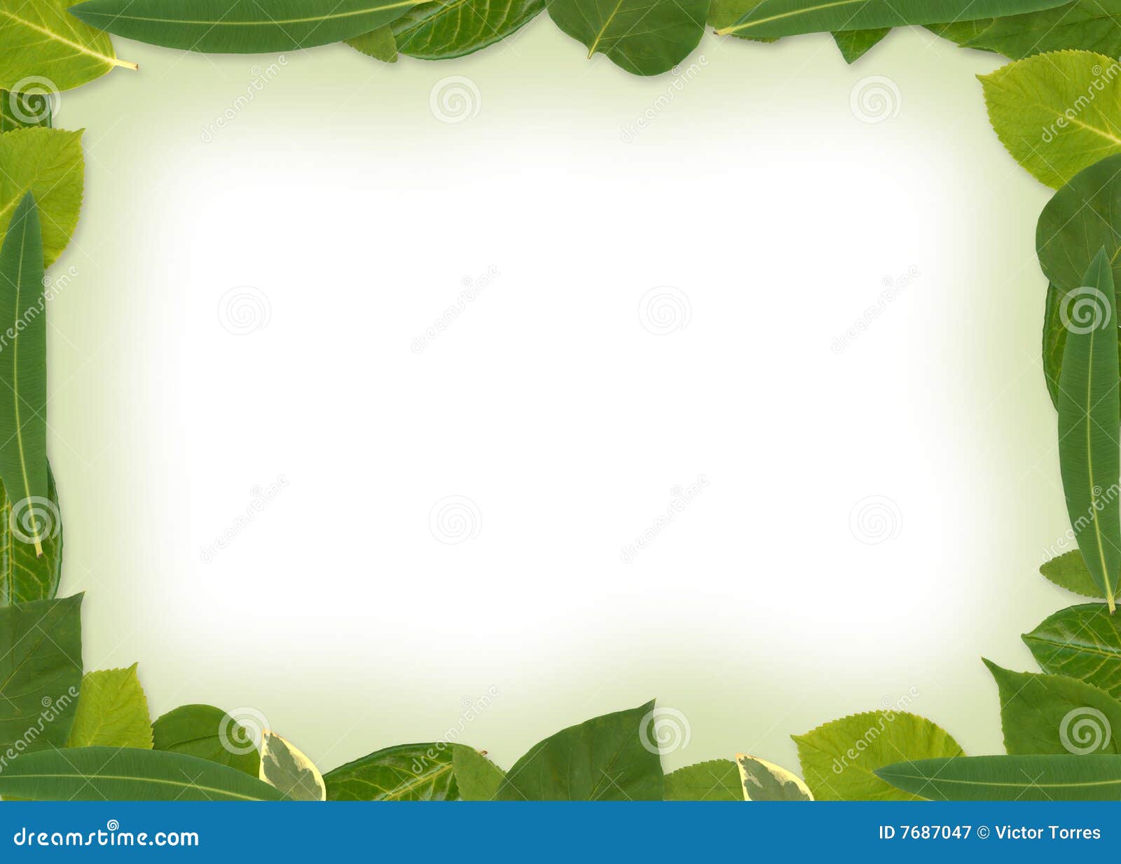 Green Leafs Frame stock image. Image of leaf, bush, frame - 7687047