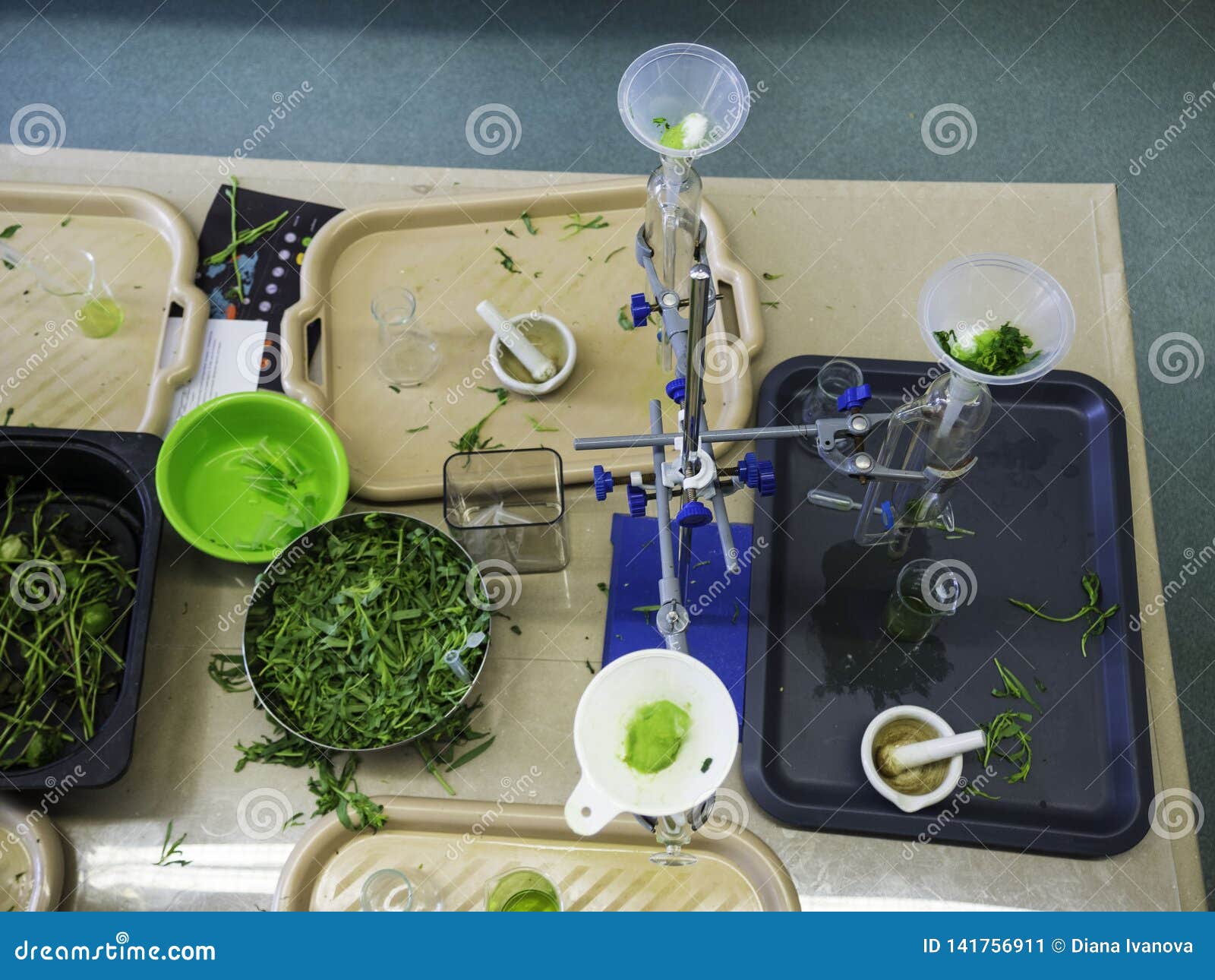 Green Leafs in Modern Smart Lab on Work Place in the Room, Greenery ...