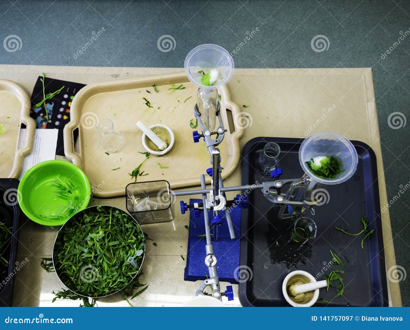 Green Leafs in Modern Smart Lab on Work Place in the Room, Greenery ...
