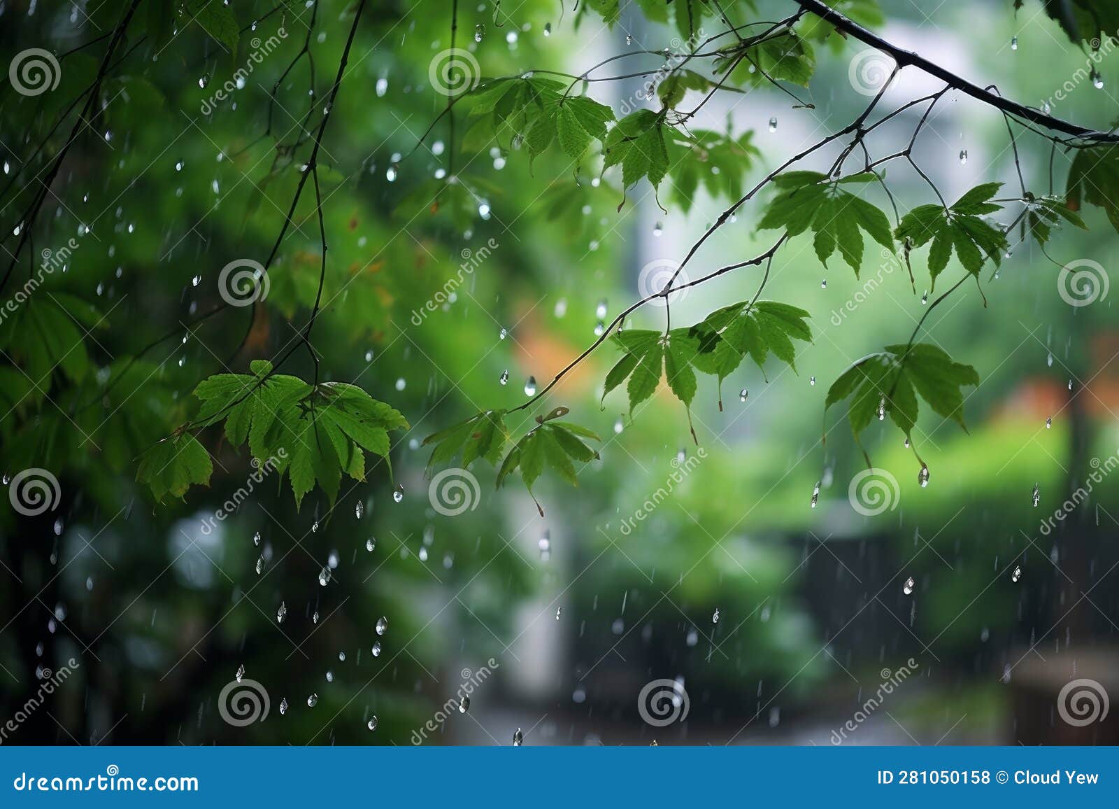 A Green Leafy Tree with Rain Drops on it Stock Illustration ...