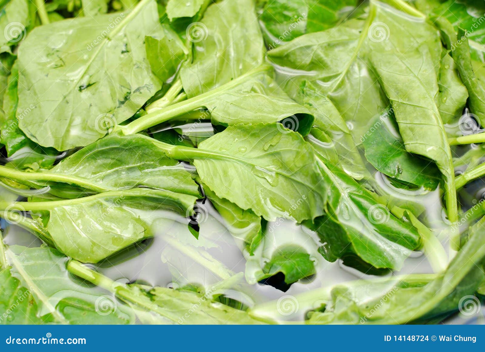 Green Leafy Vegetables in Water Stock Photo - Image of wash, diet: 14148724