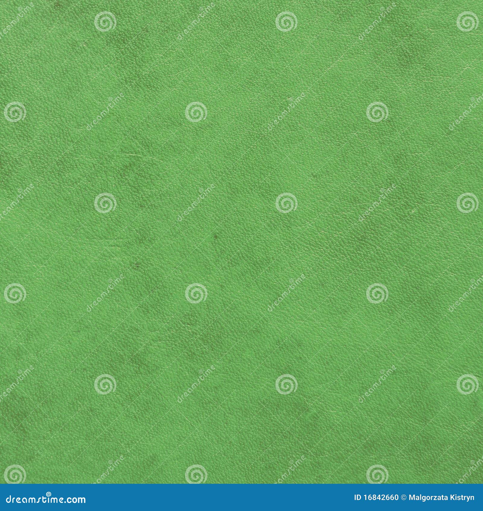 Green leather sample stock photo. Image of environment - 16842660