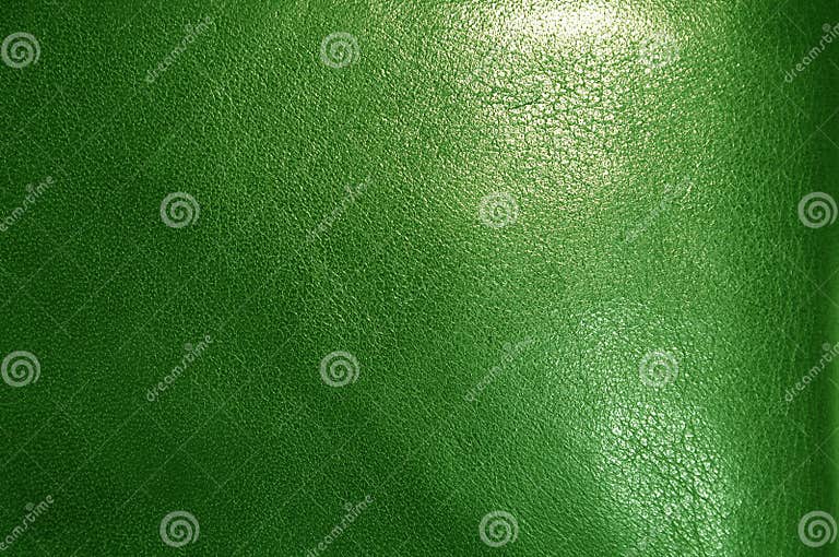 Green leather texture stock photo. Image of dark, grain - 1024236