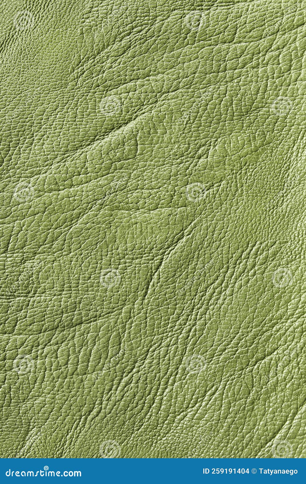 Green leather texture stock photo. Image of craft, abstract - 259191404