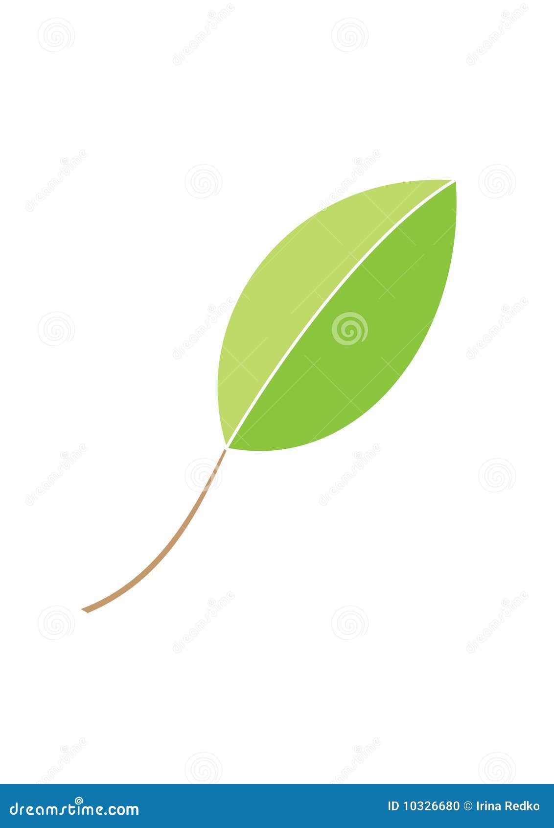 Green leave stock illustration. Illustration of ecology - 10326680